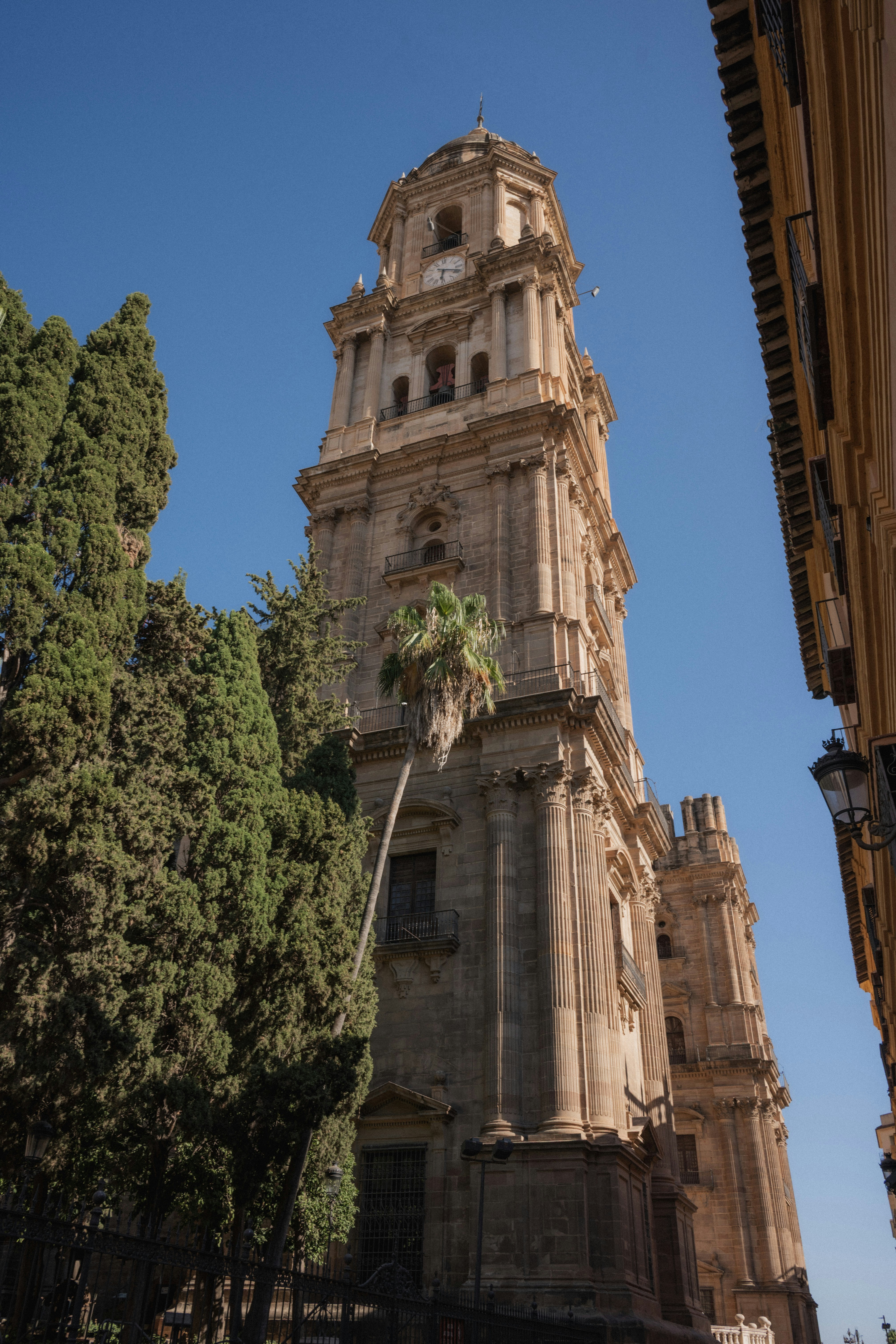 Sunlit bell tower rising above a courtyard of cypress and stone