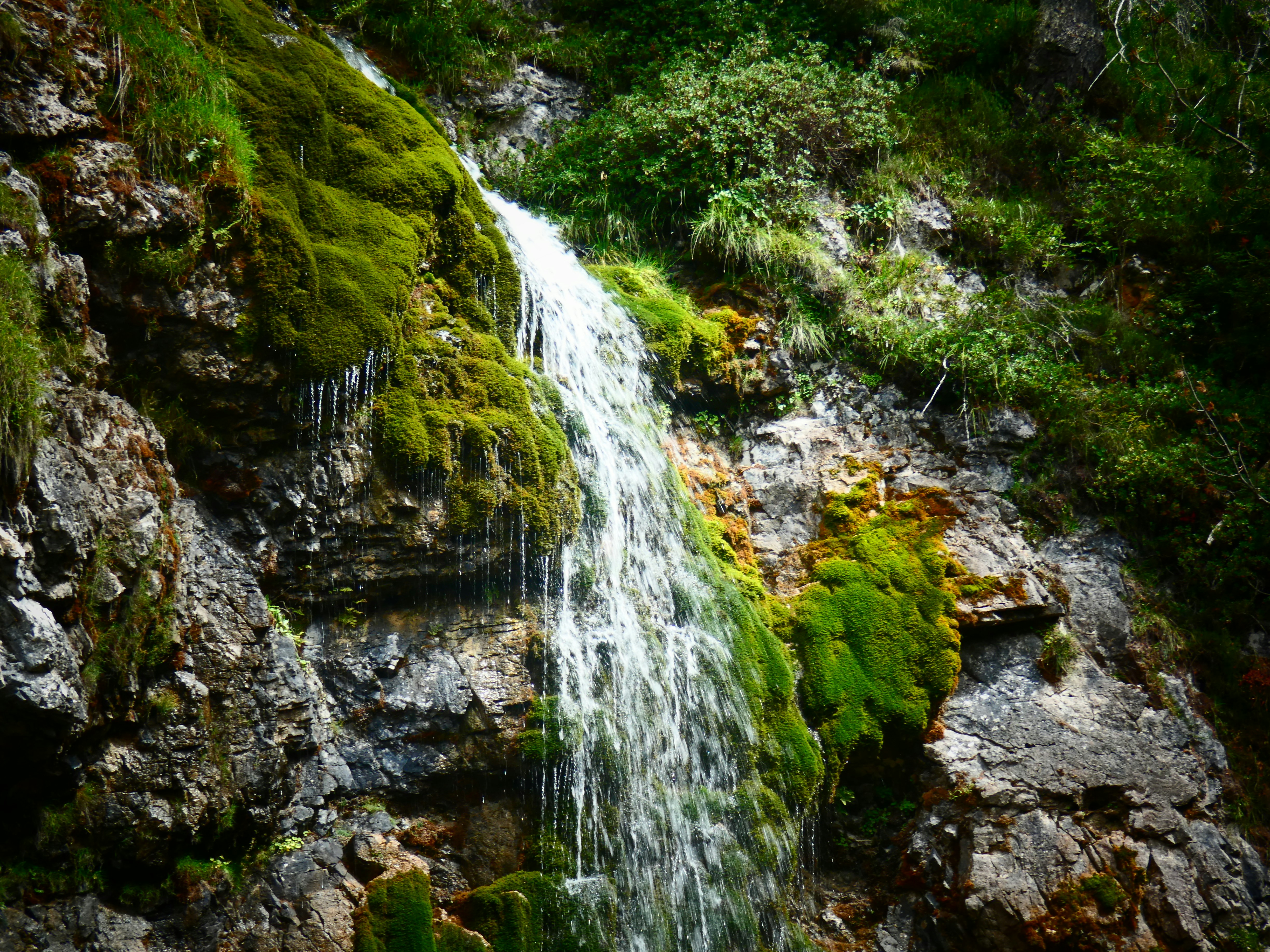 Moss-Cilled Cascade: A Quiet Thrust of Green Over Stone