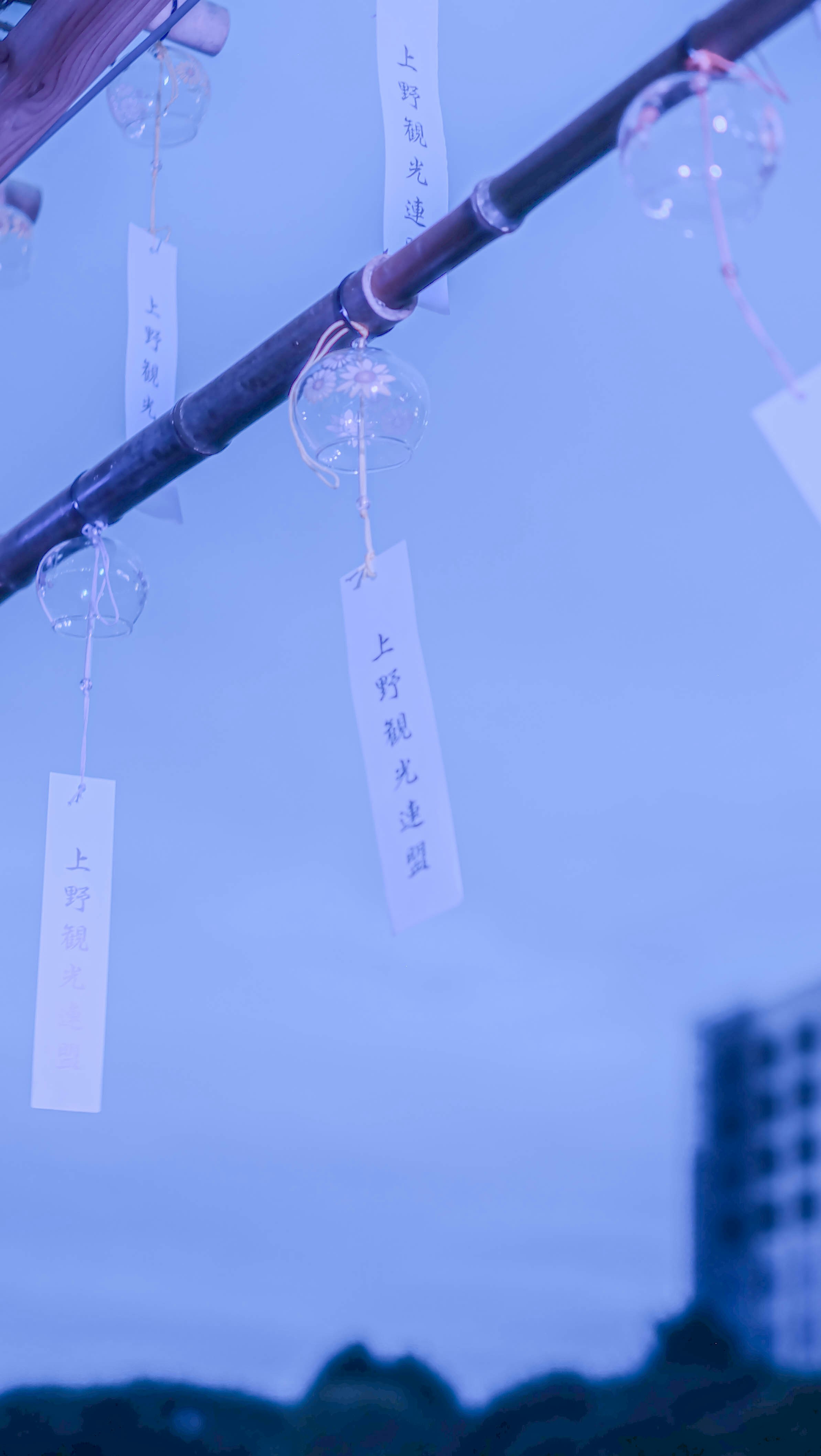 Strings of Fate: Lantern Tags Swing Against a Dusky Sky