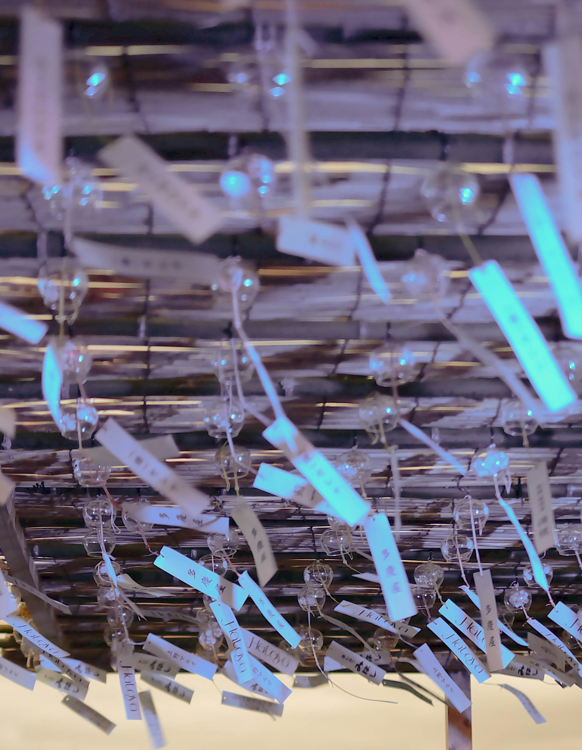 Whispers of Chance: A Sea of Names in the Neon Twilight