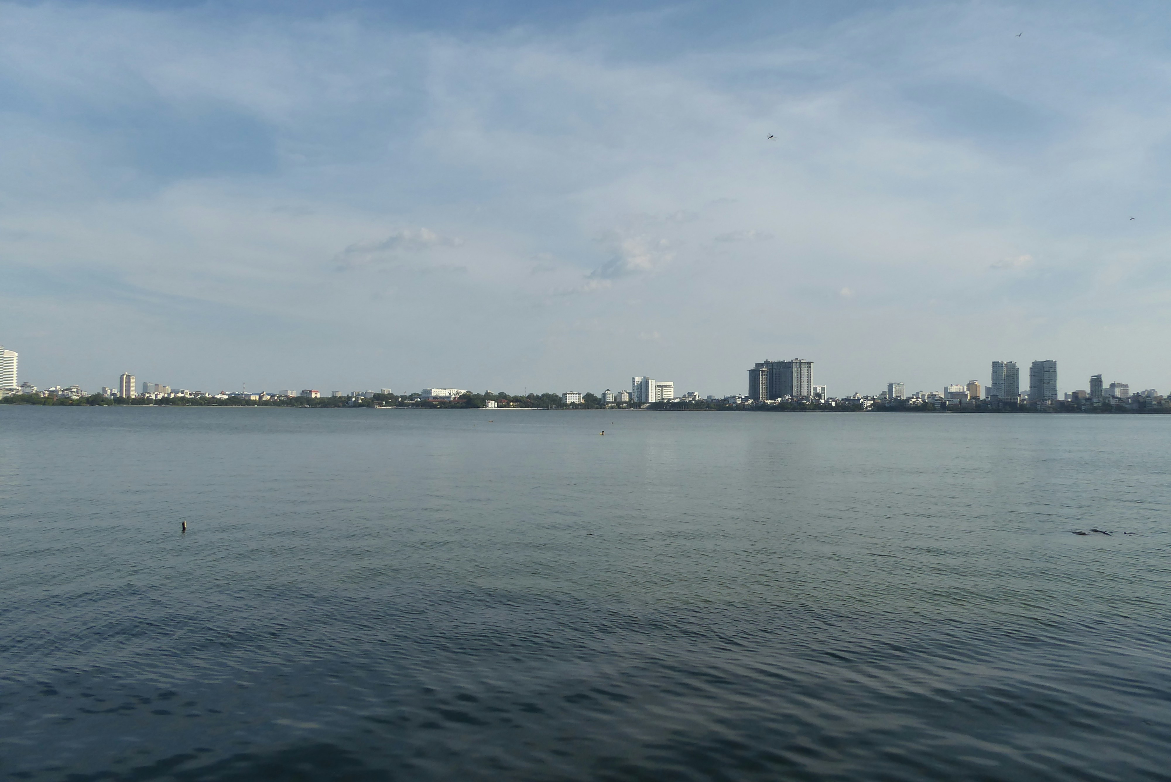 Calm harbor with distant city skyline along the horizon; the water dominates the lower half, reflecting soft light.