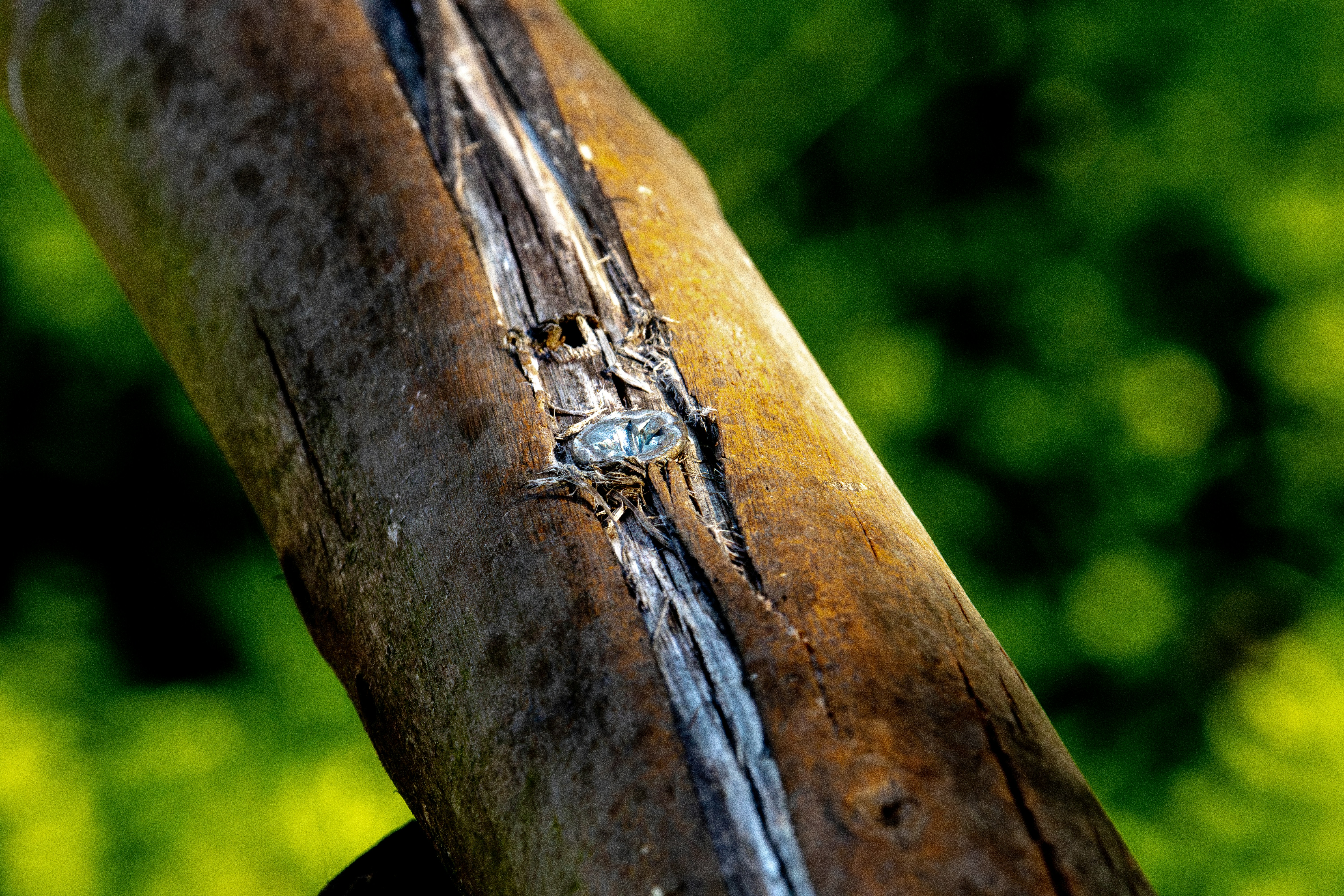 Crack and Grain: A Close-Up on Weathered Wood