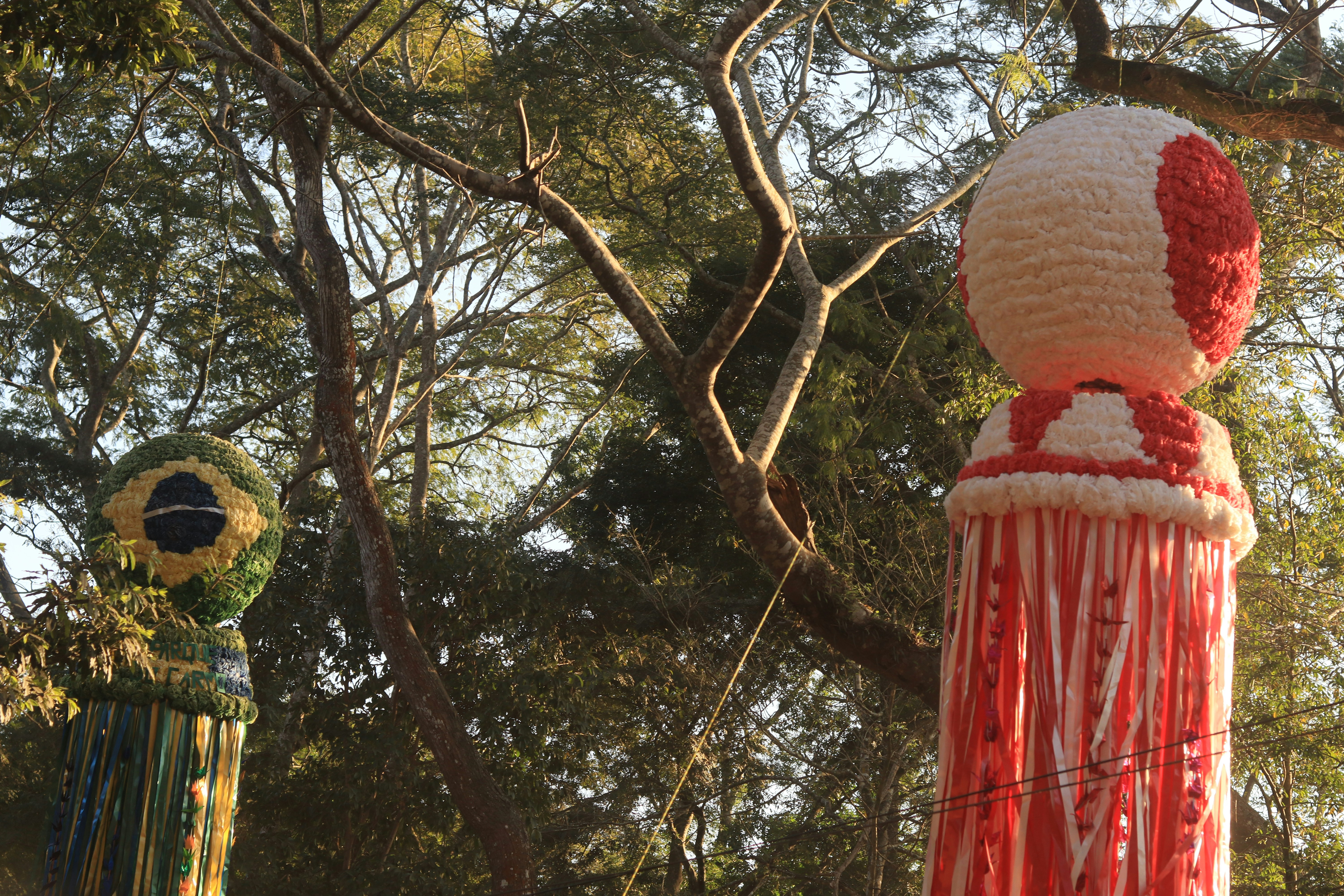 Candy-Striped Lanterns Reaching Toward Sunlit Canopy