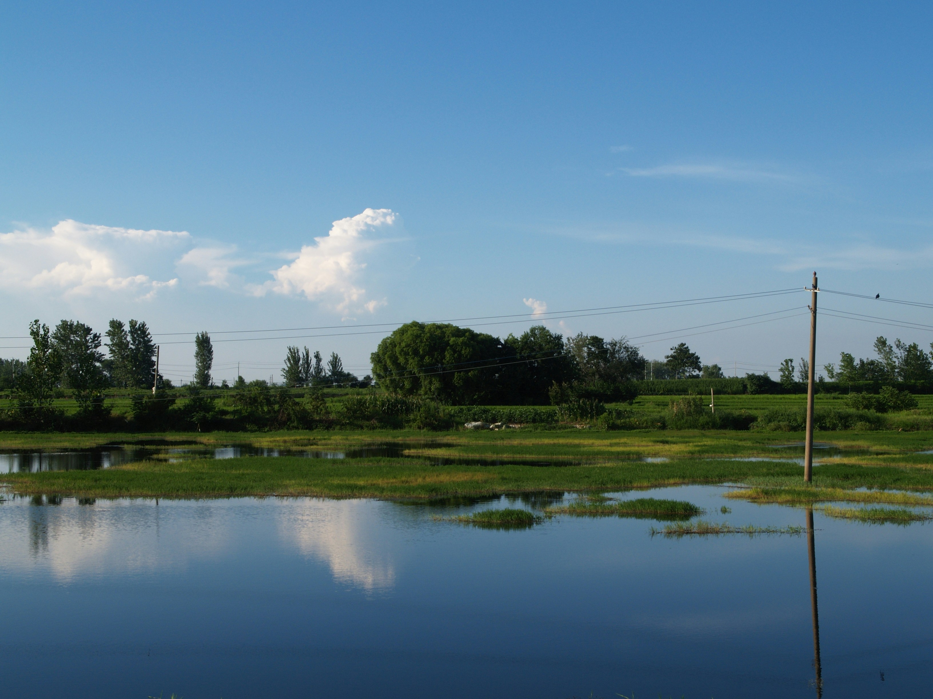 Wide river landscape with a calm, mirror-like surface reflecting clouds; utility pole and power lines cross the scene, grassy marshland stretching into the distance.