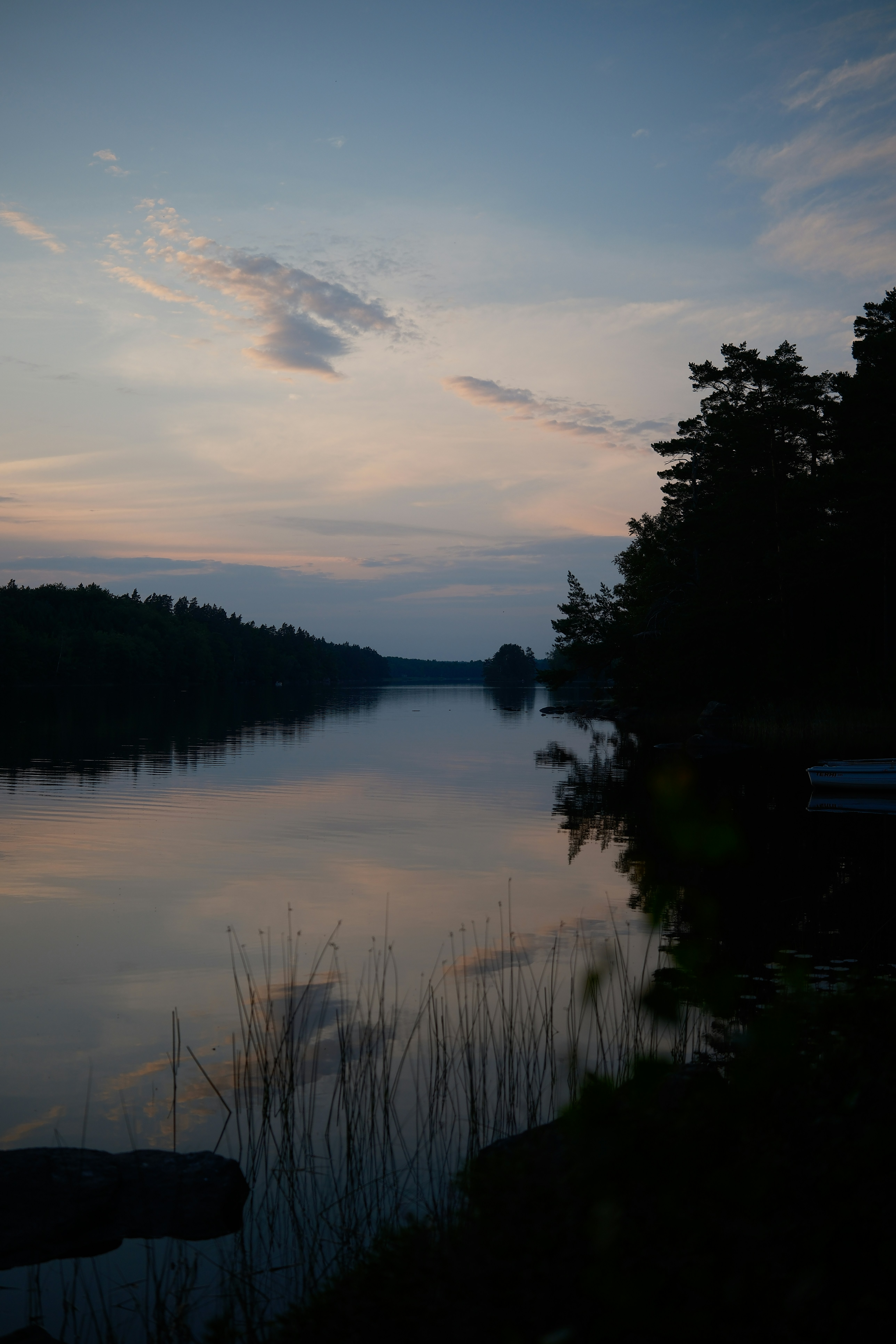 Dusk on the Quiet Lake: silhouettes and water meet the soft sky