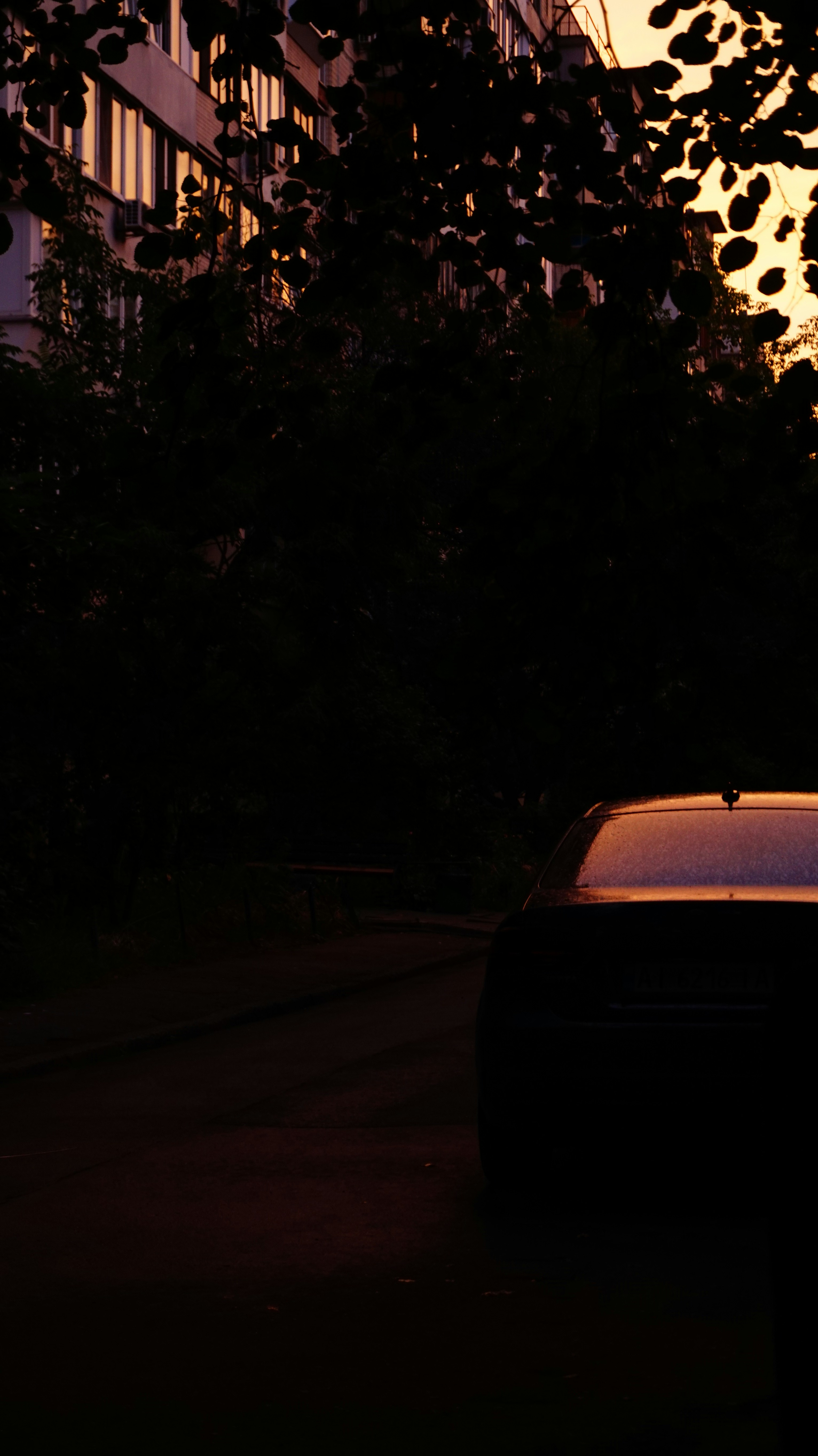 Urban Sunset: A Shadowed Car Amidst Tree-Lined Street