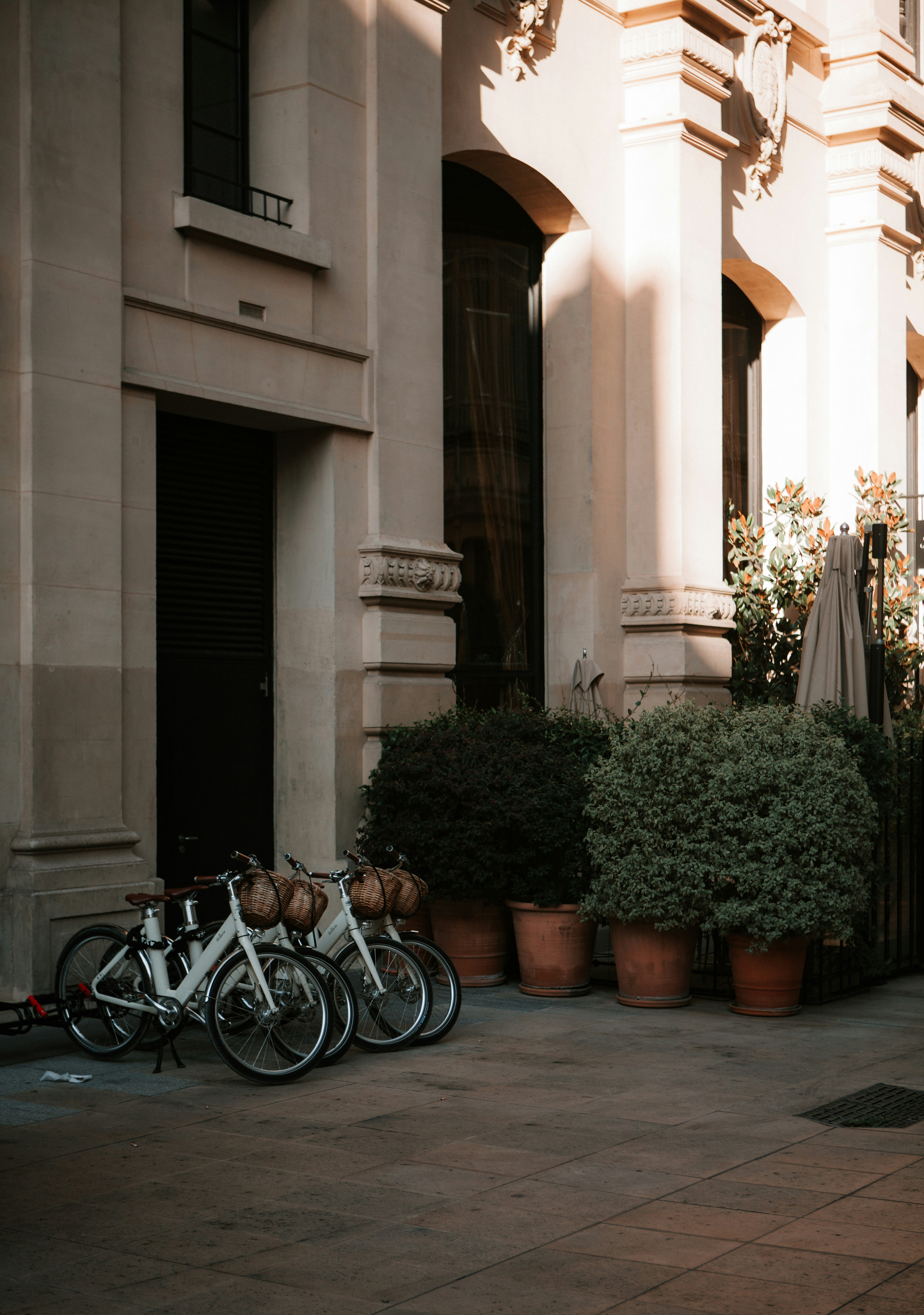 Quiet Street Corner with Bicycles and Potted Shrubs