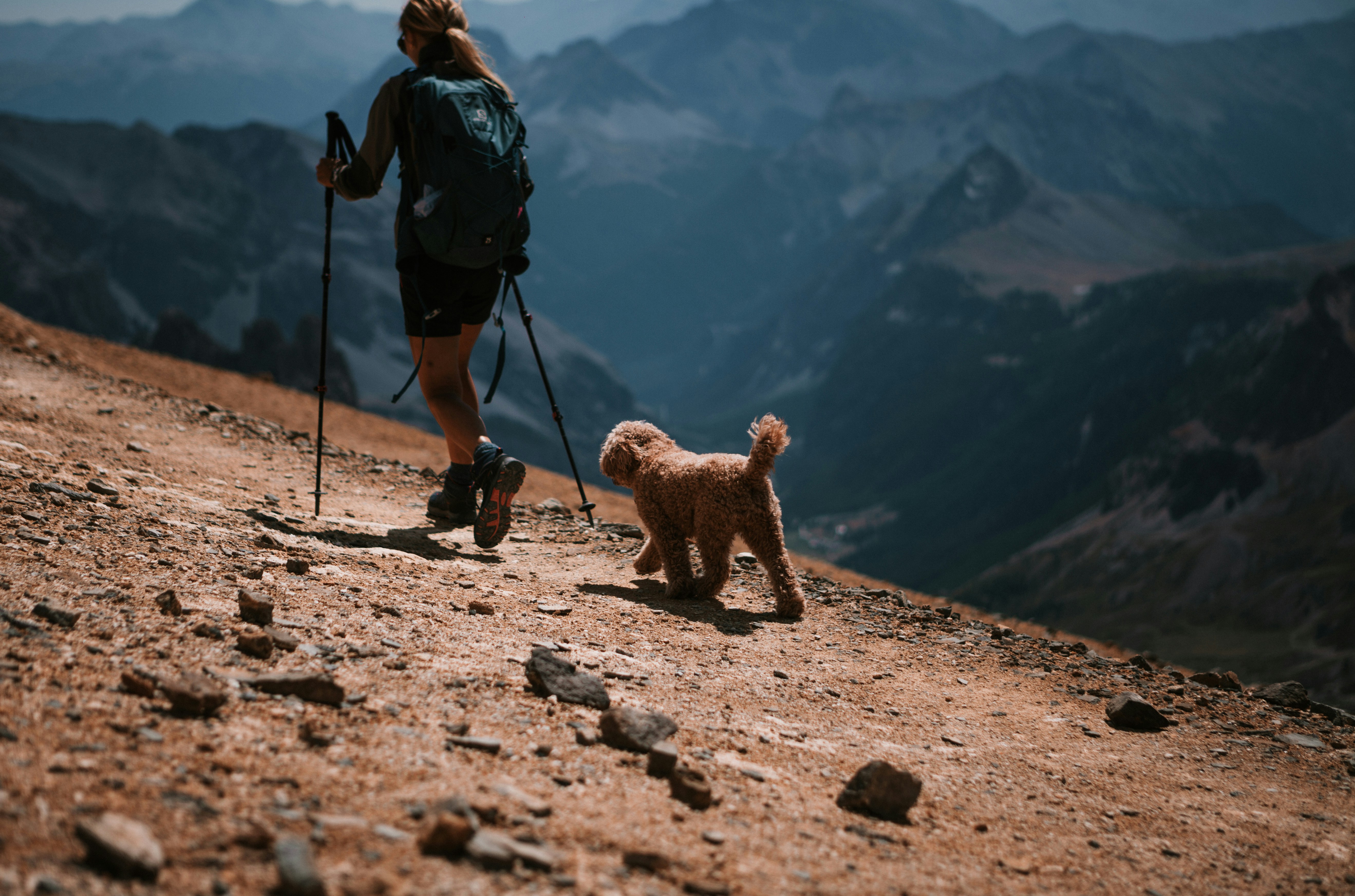 Trail Duo: A Hiker and Her Dog Trek Beneath Alpine Peaks