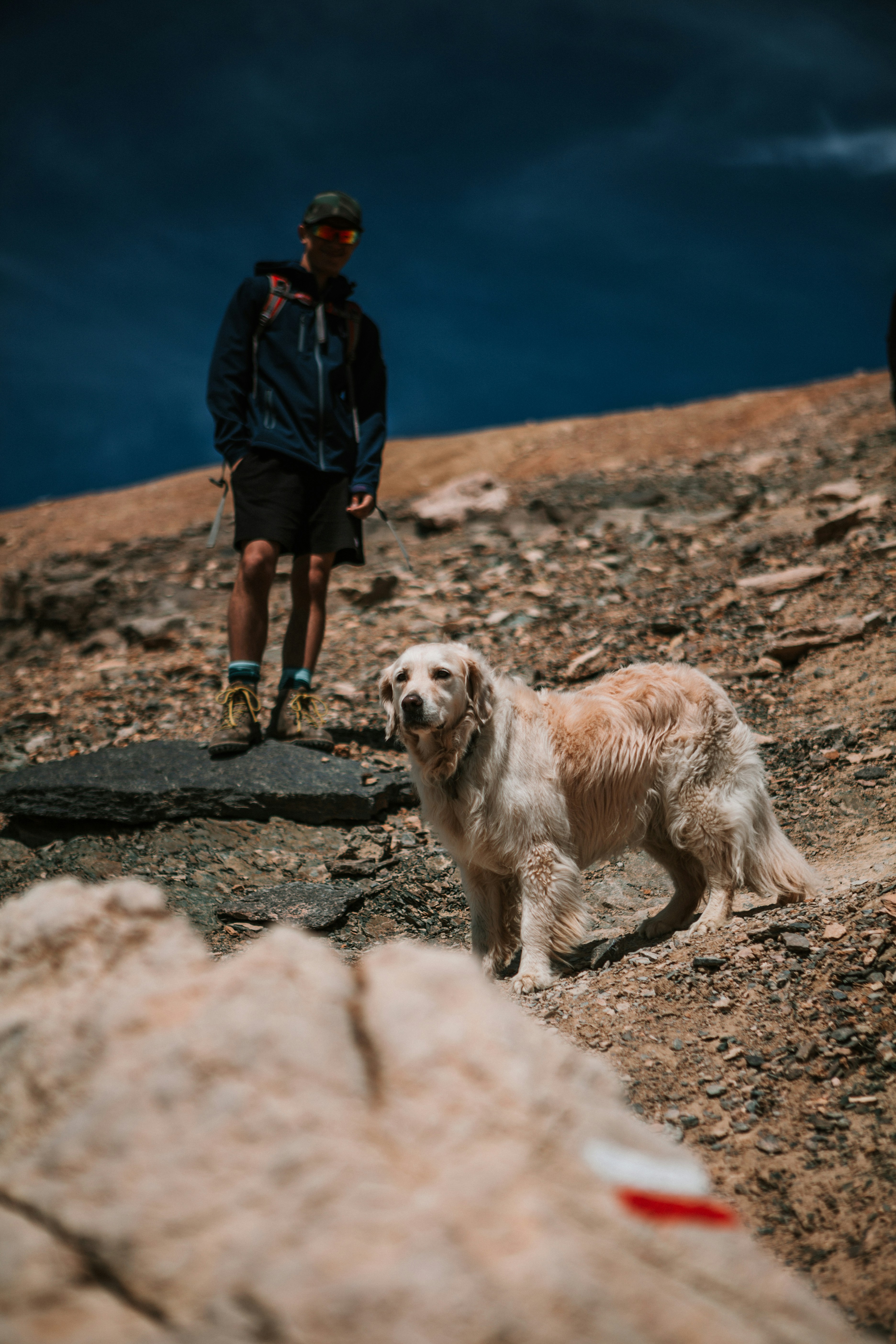 Trailbound Companions: The Hiker and the Golden Easygoing Allure
