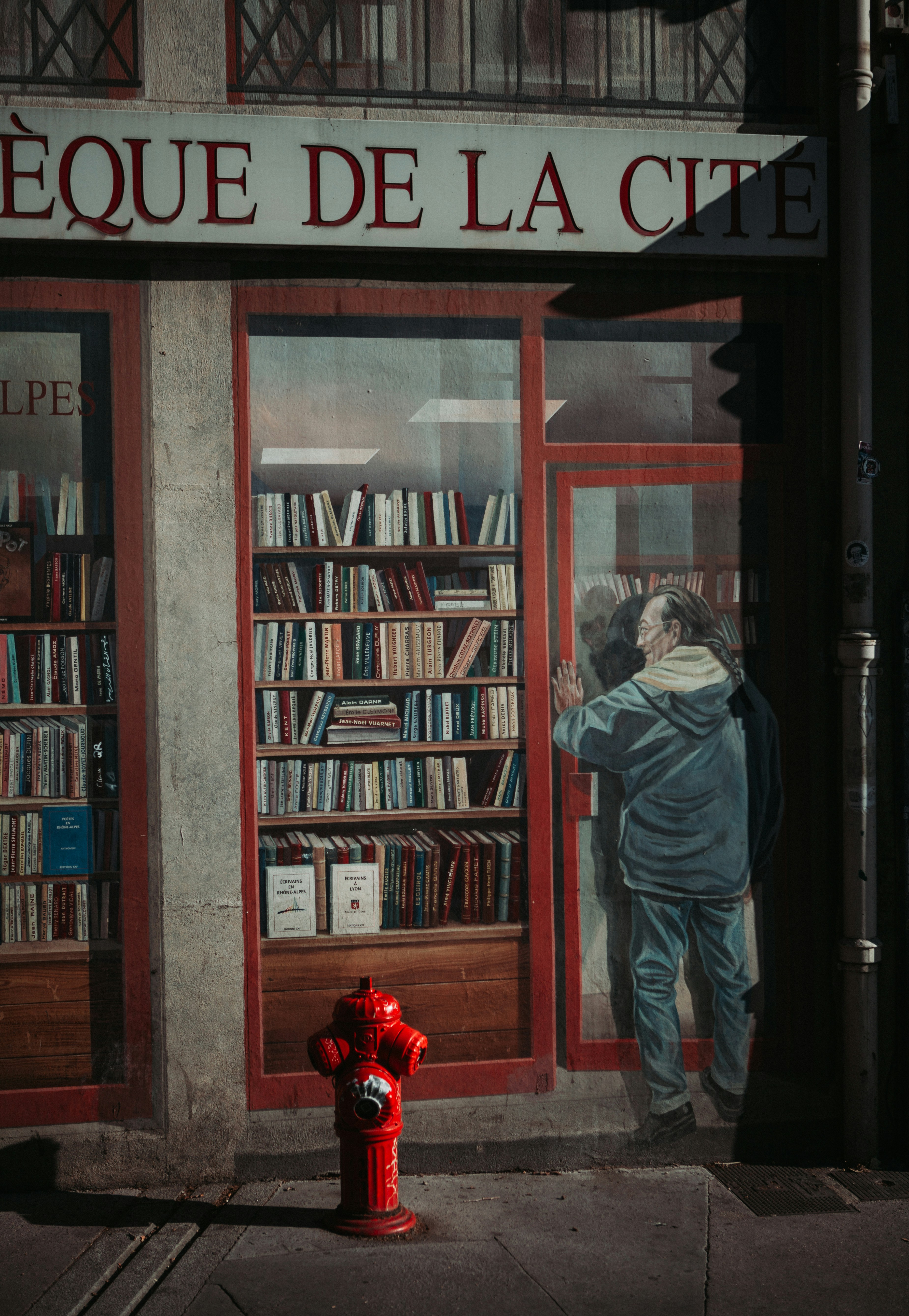 Books, Glass, and a Gaze: A Street Bookshop Portrait