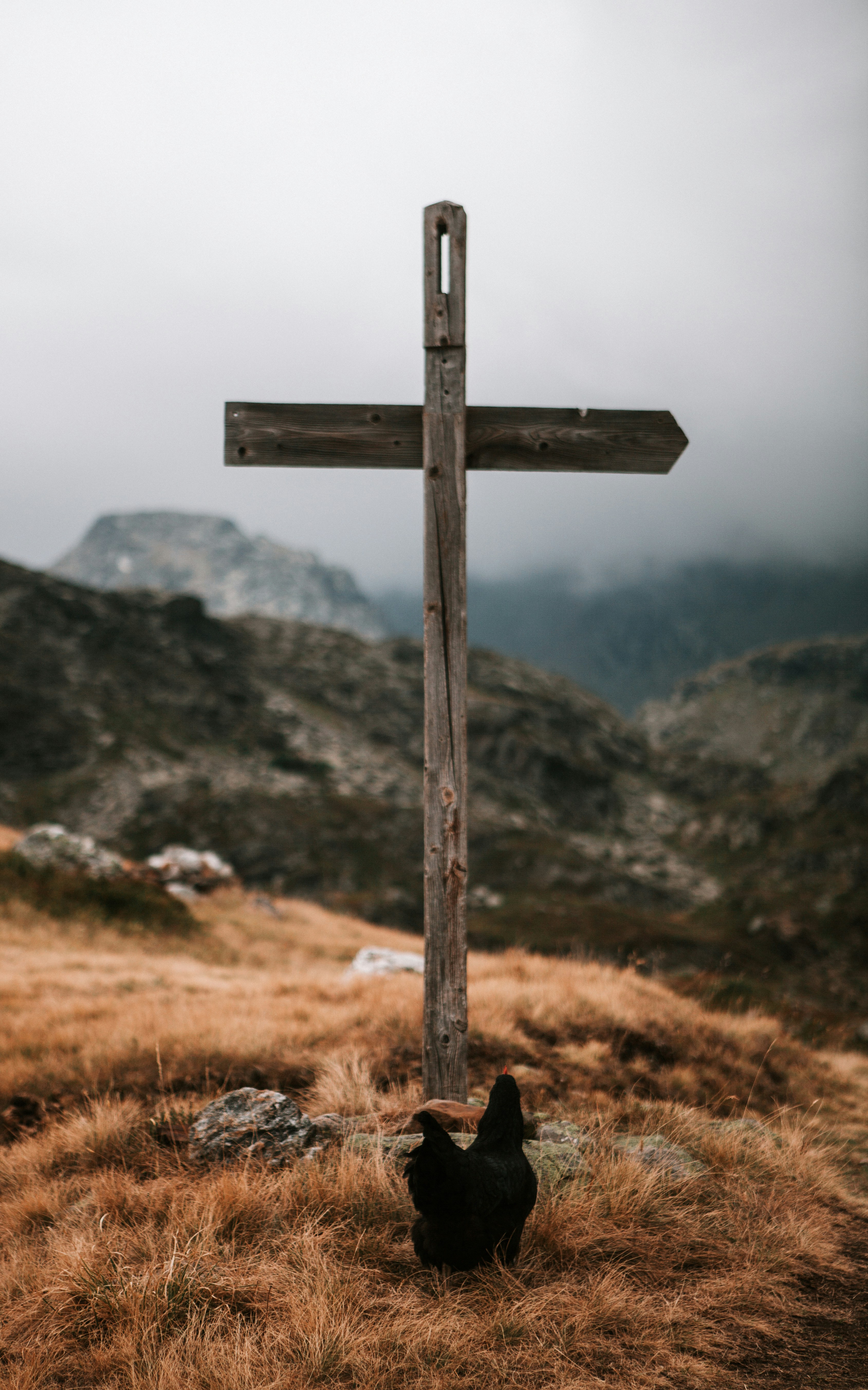 Weathered Cross at the Edge of a Golden Moor