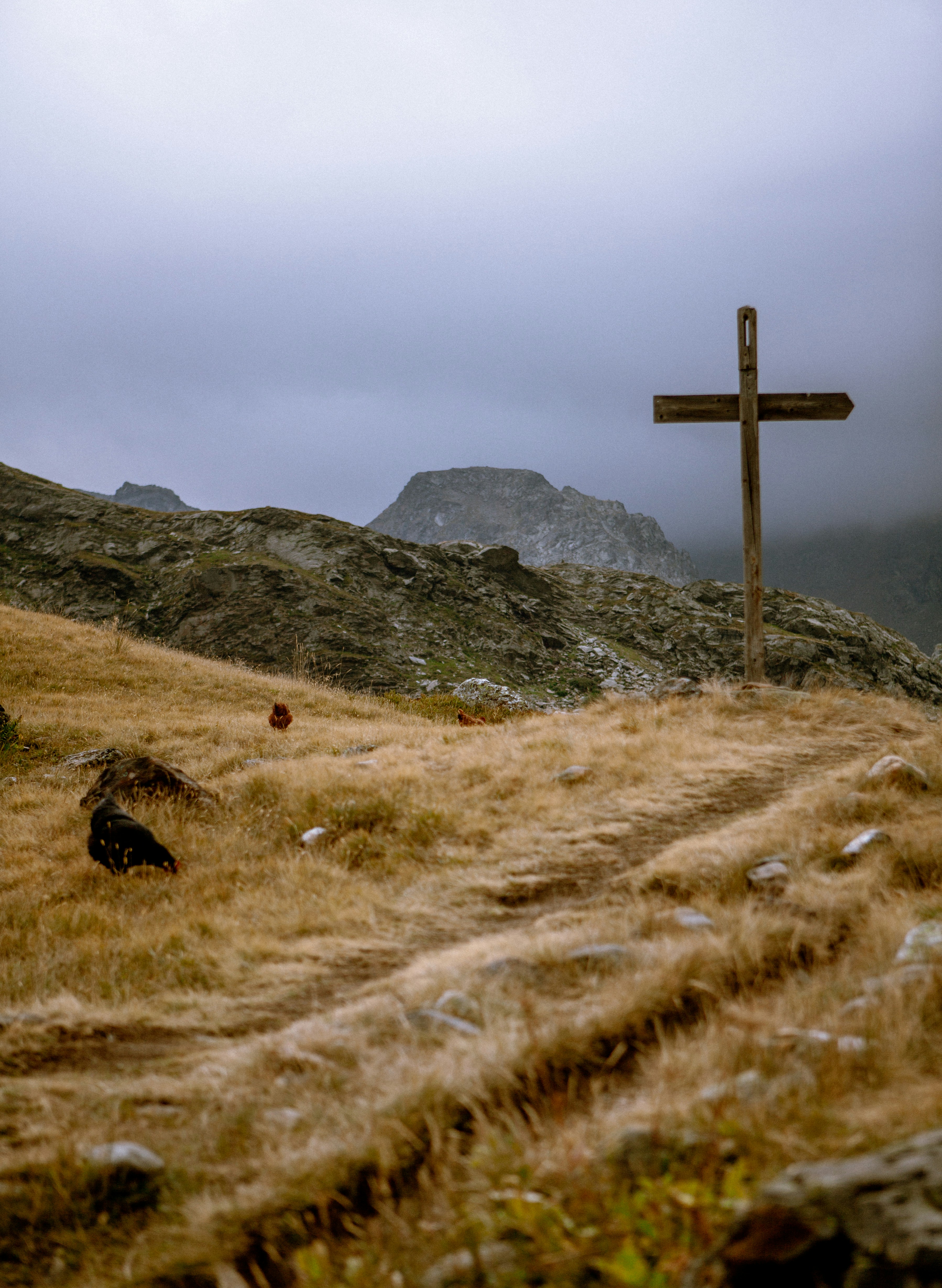 Trail Marker in Mountain Mist