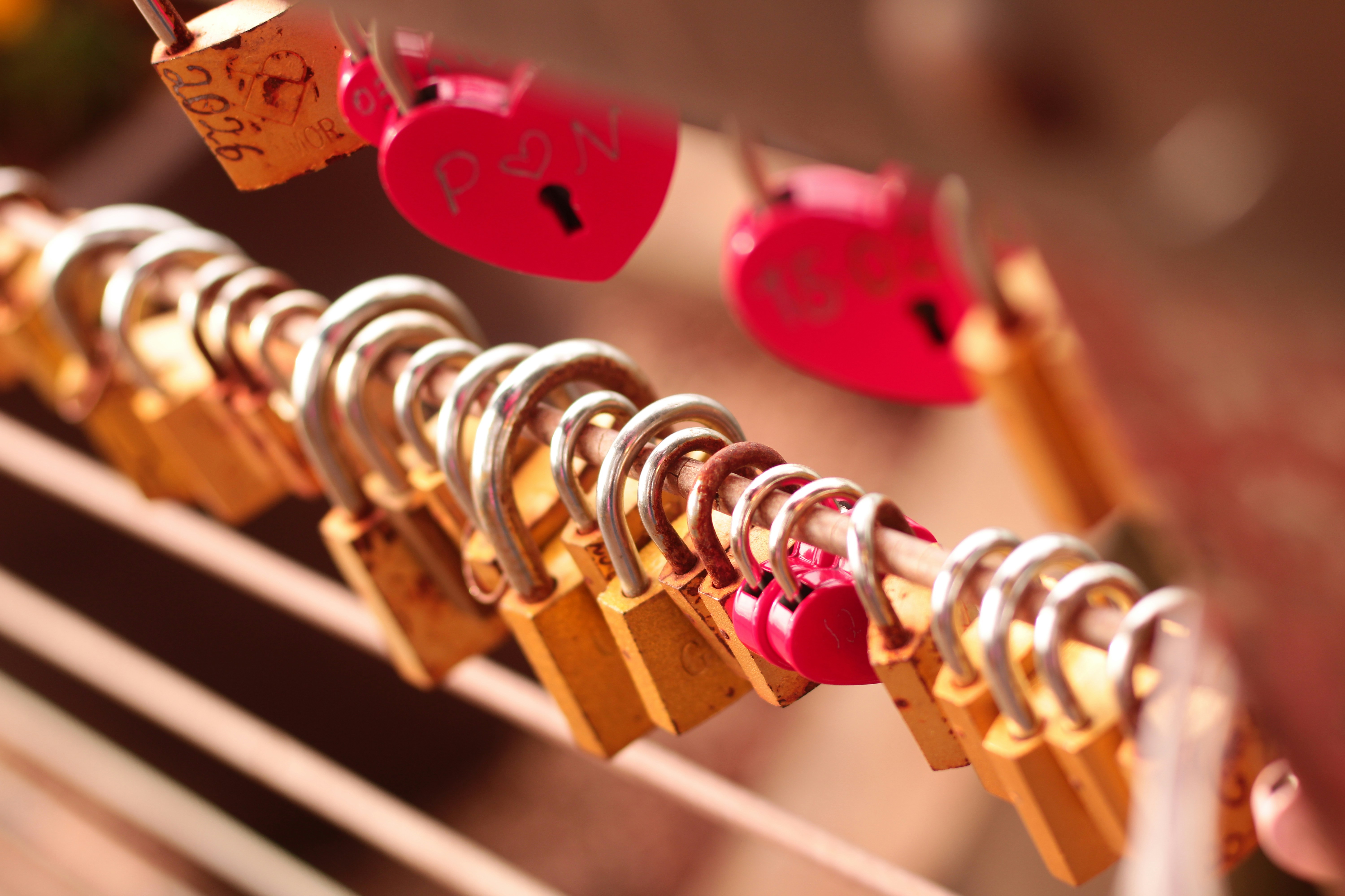 Locks of Affection: A Row of Padlocks on a Fenced Bridge