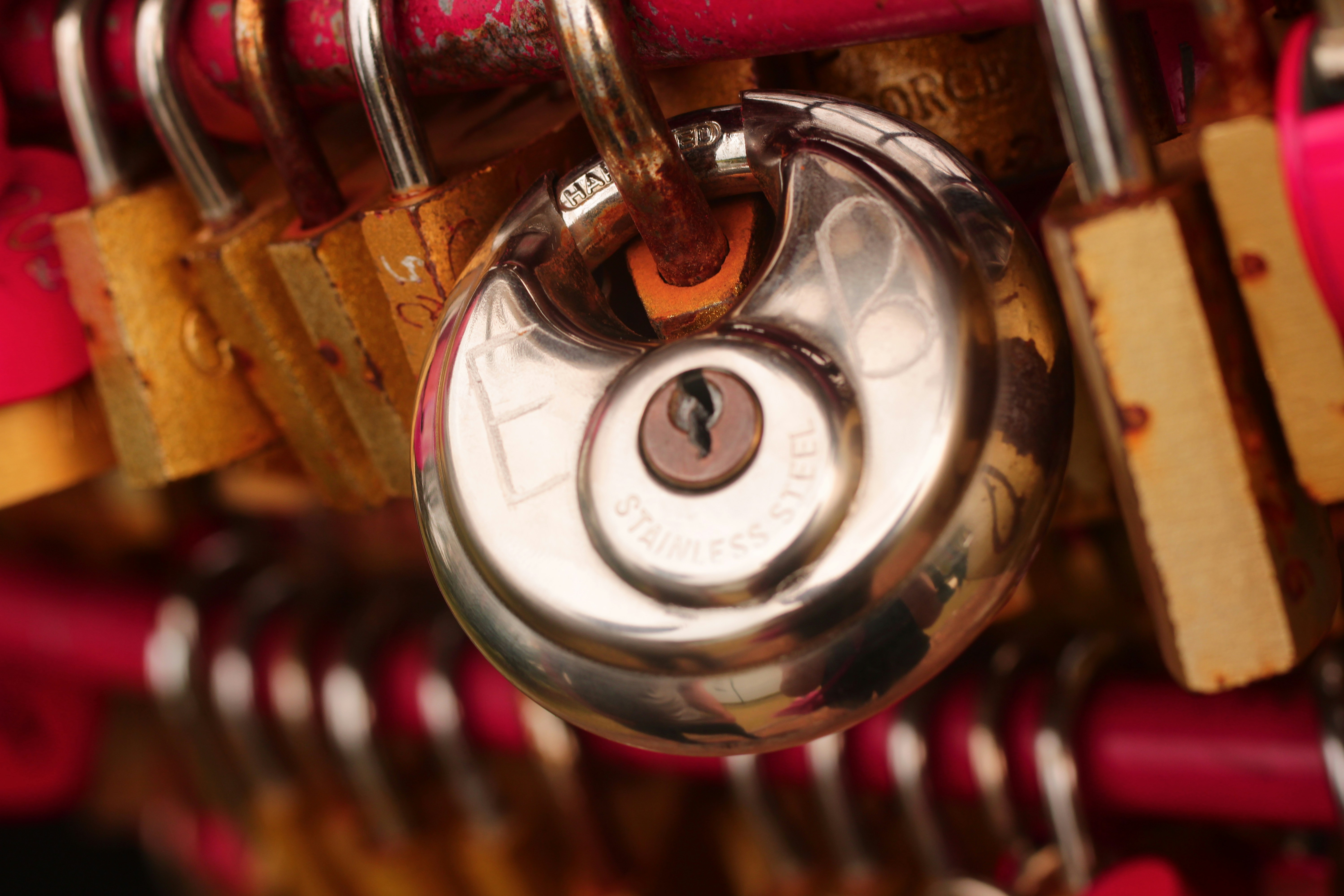 Chrome Lock: A Close-Up of a Shiny Padlock Against a Roster of Locks