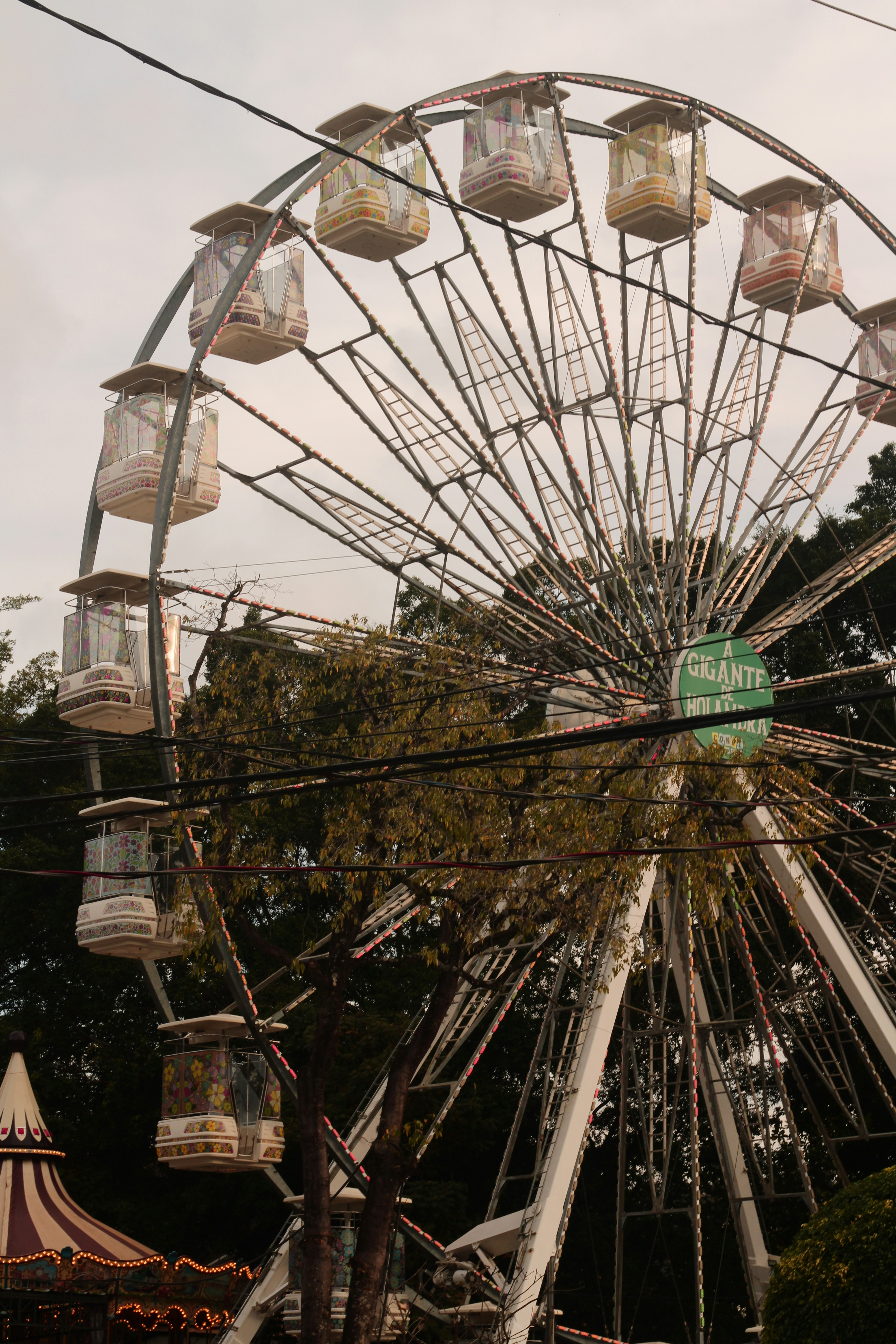 Giant Wheel in Twilight Tangles