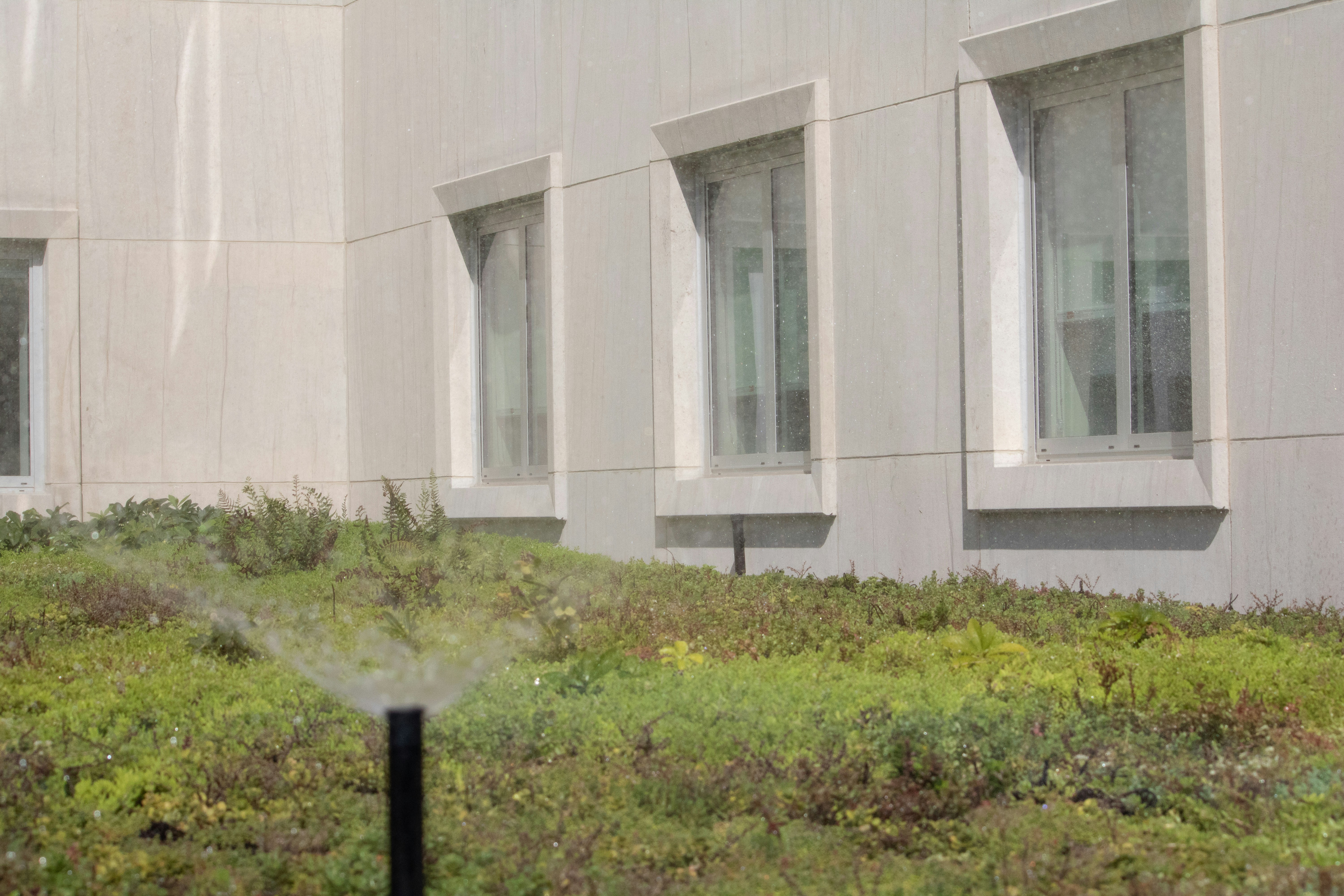 Green Terrace near Modern Facade with Sprinkler in Action