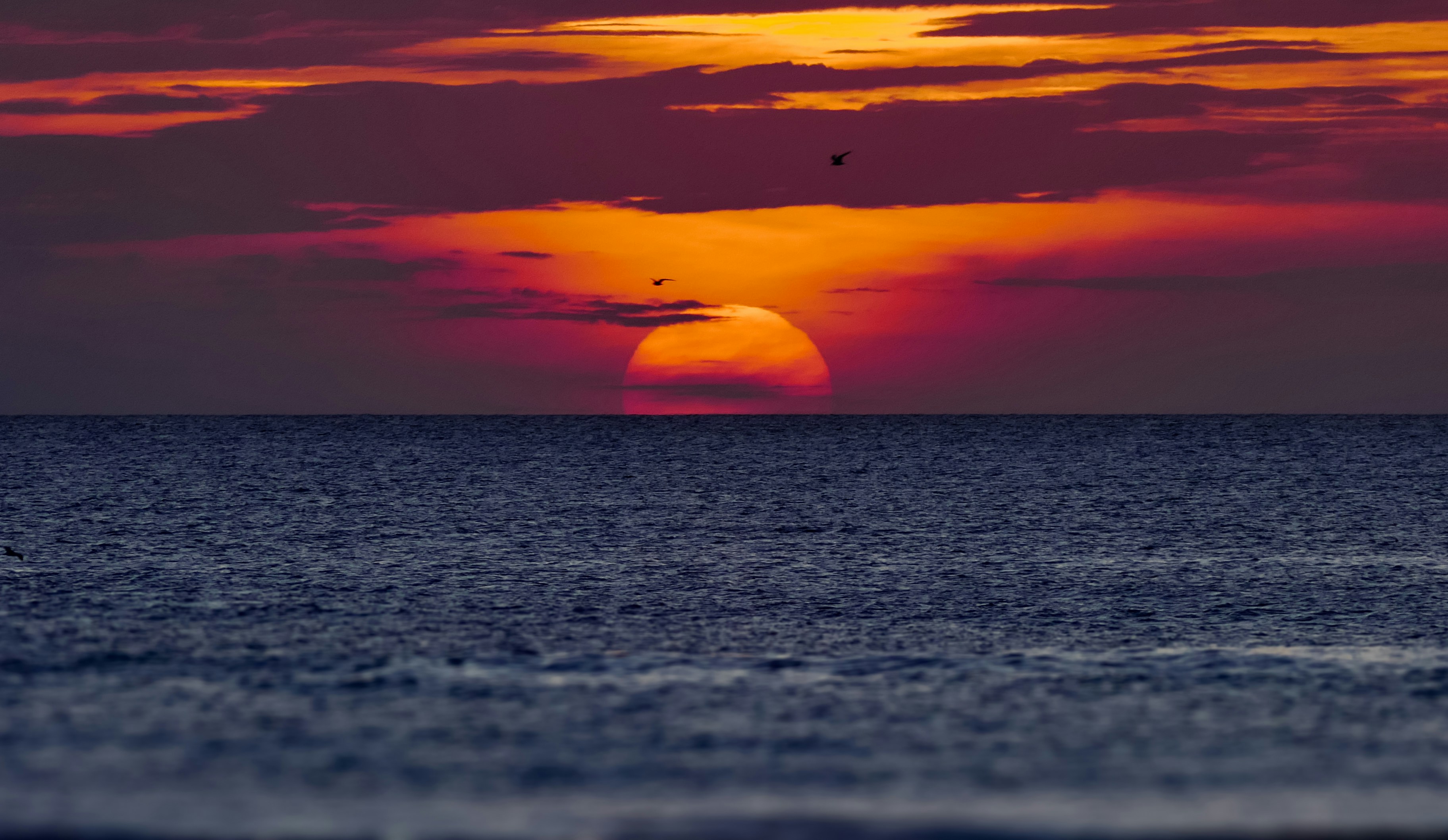 Red Sun Seeping into the Horizon over a Quiet Ocean