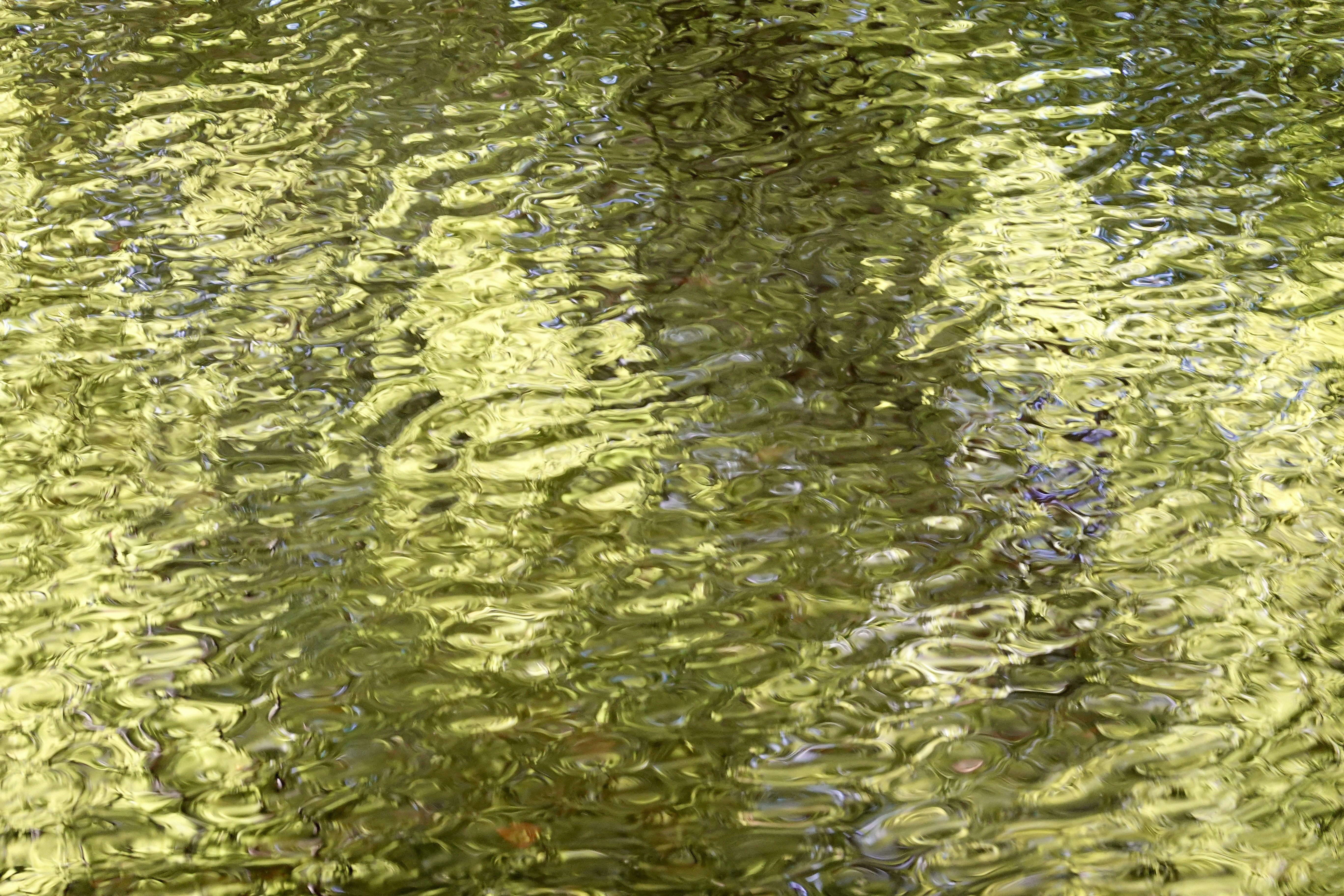 Golden Ripples: Light Playing on Water