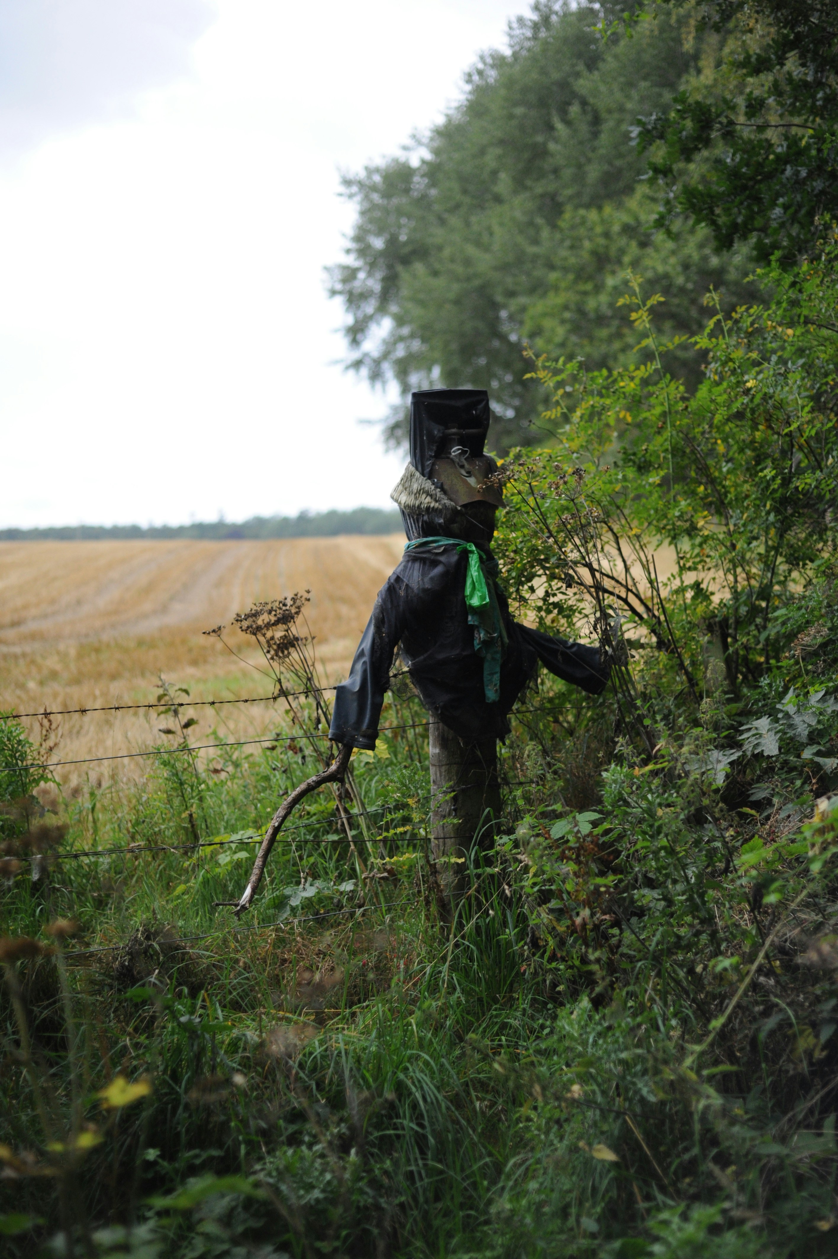 Dread in a Field: The Ragged Harvest Mannequin Guarding the Boundary
