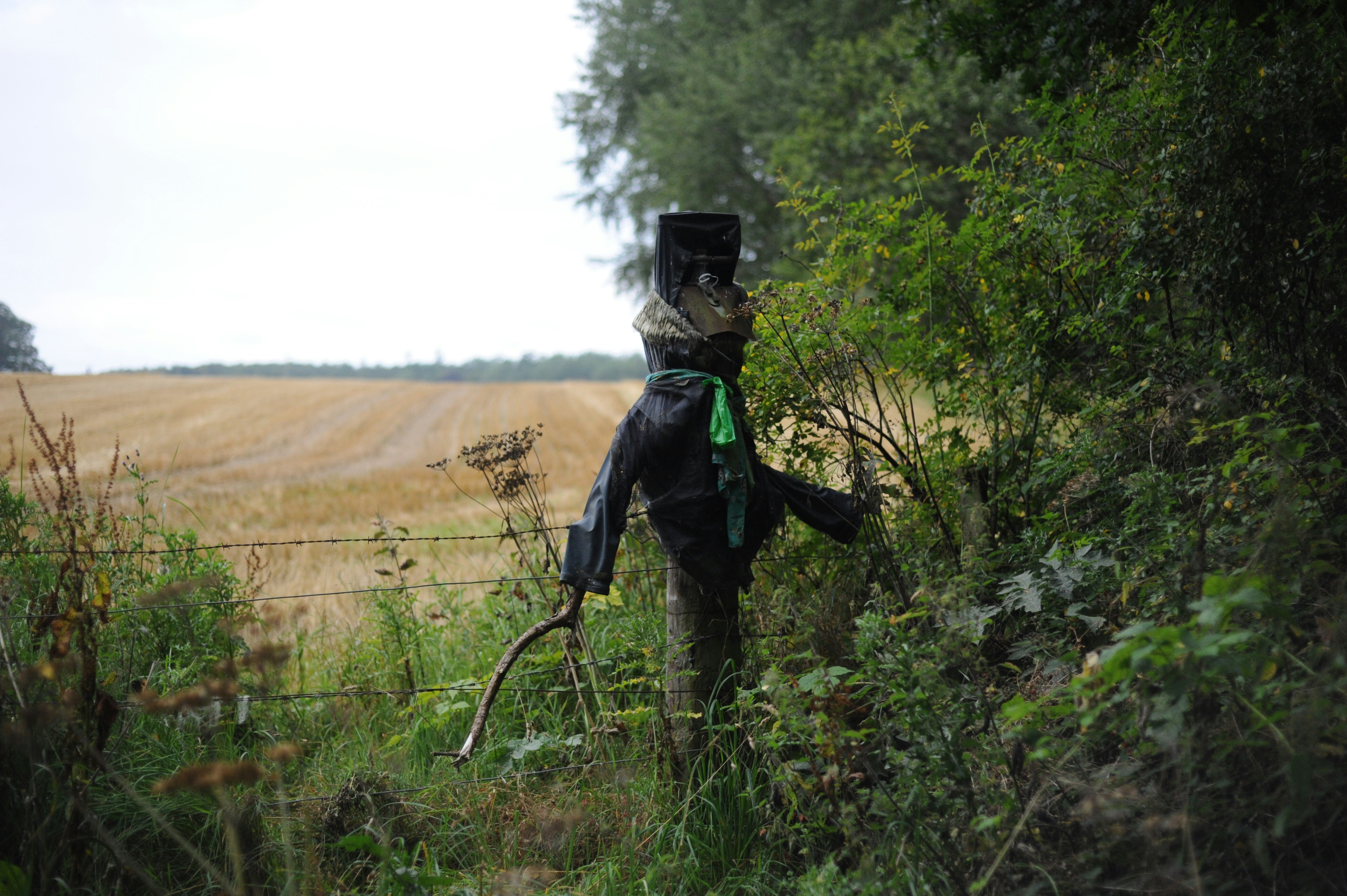 The Gardener of Dusk: A Field Marked by a Wooden Figure