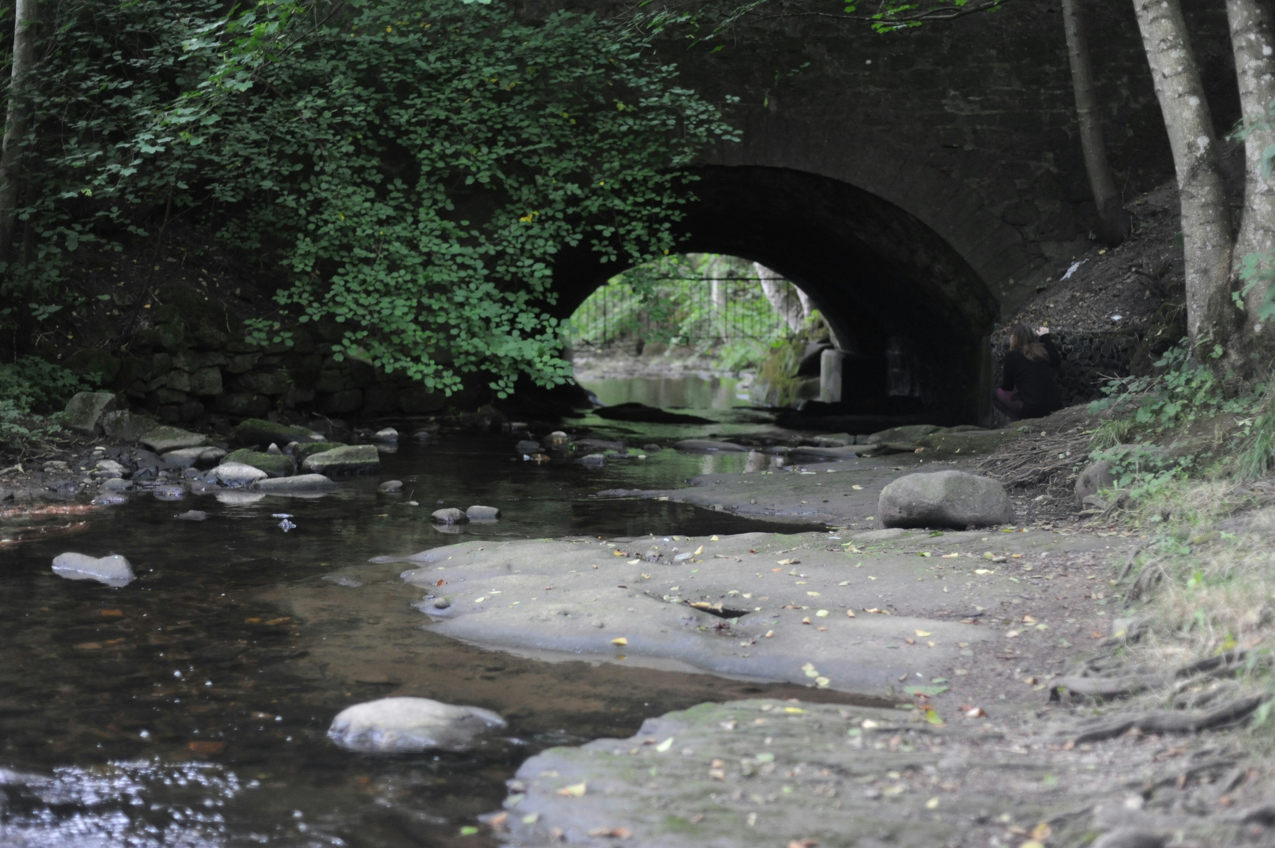 Stone Archway Afloat in Rivulet Light