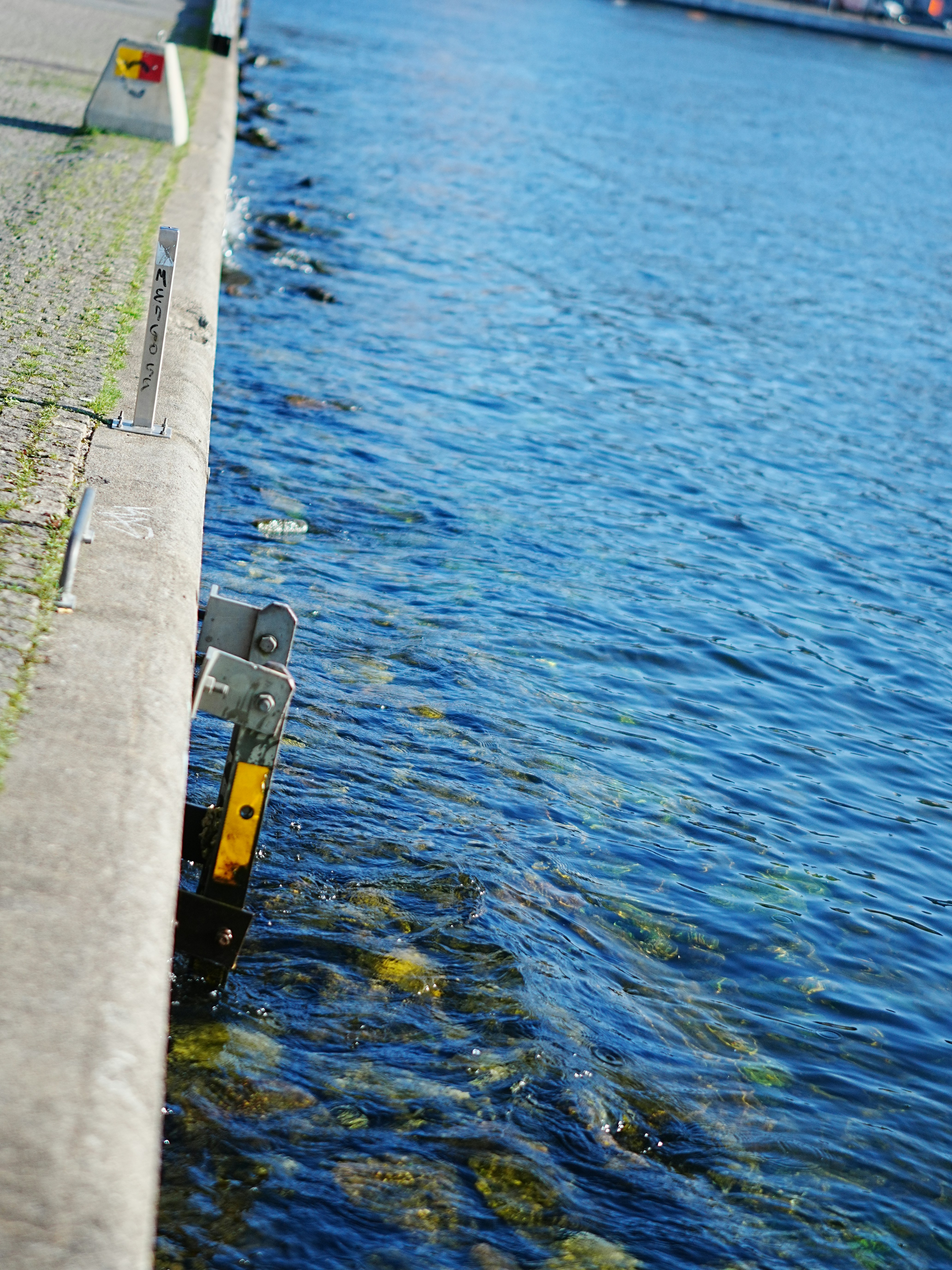 Waterfront Pier Edge: A Quiet Moment by the Docks