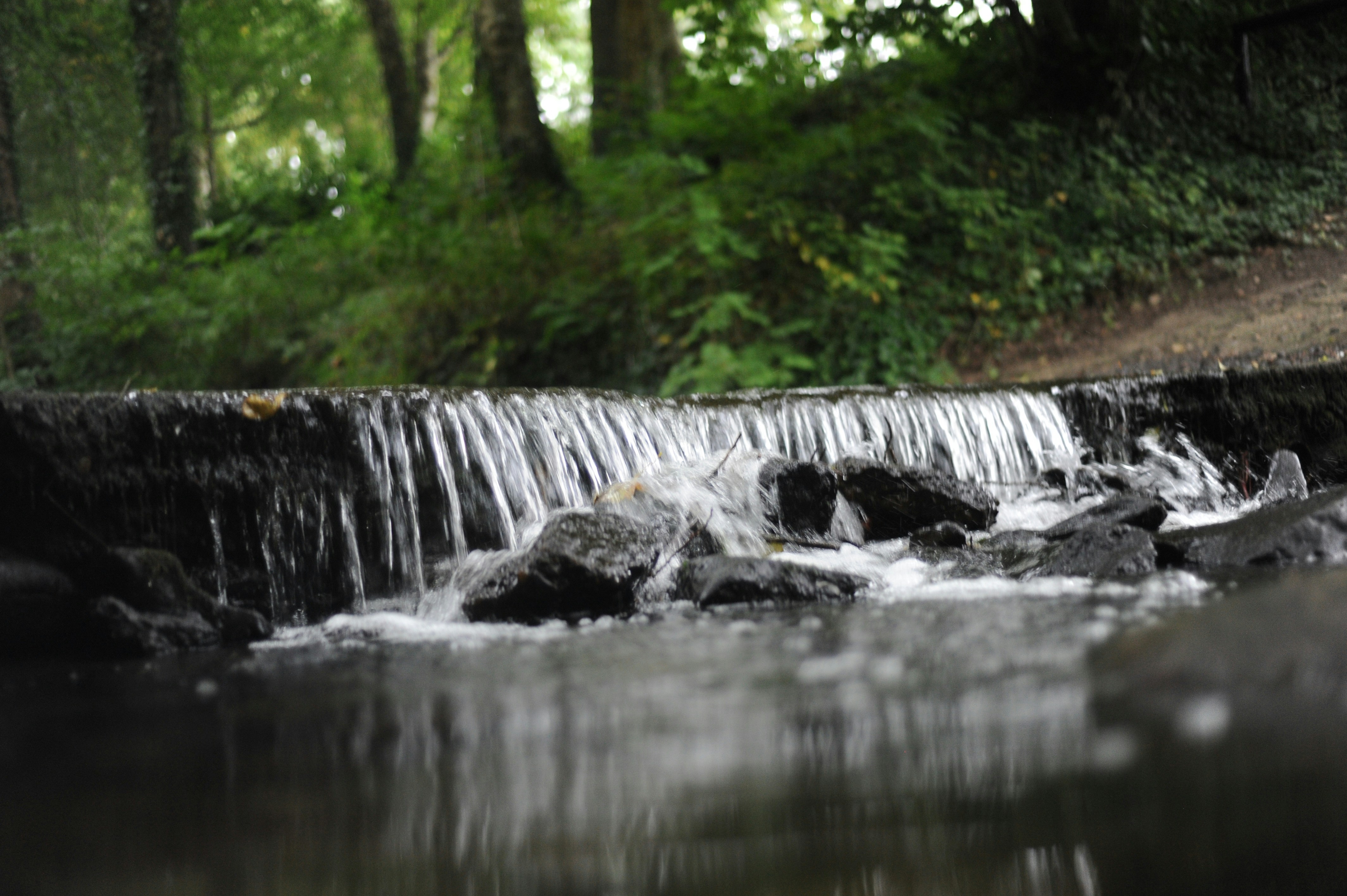 Soft Cascade Over Dark Stones