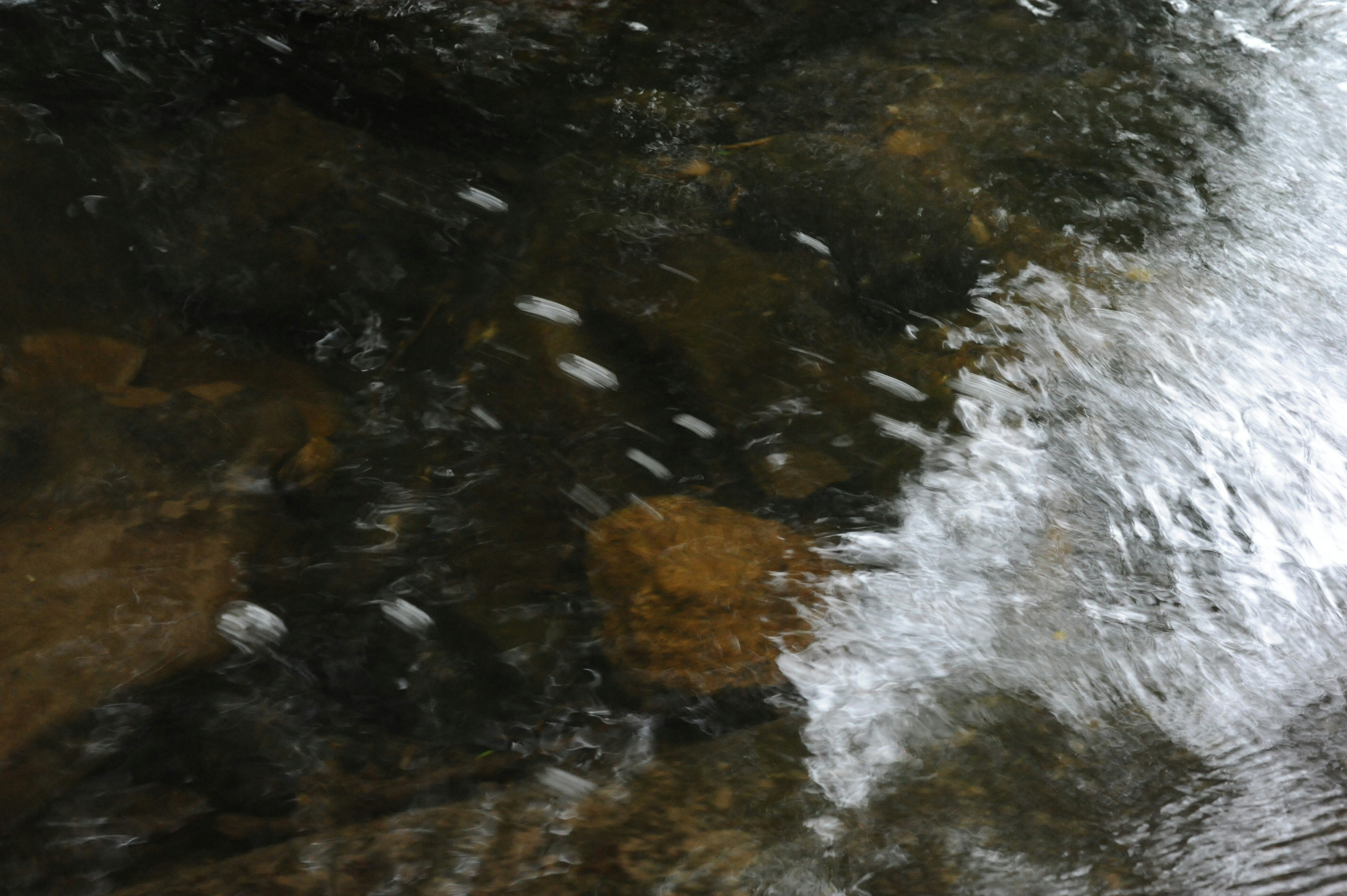 Rushing Quiet: Stones and White Foam along a Turbulent Stream
