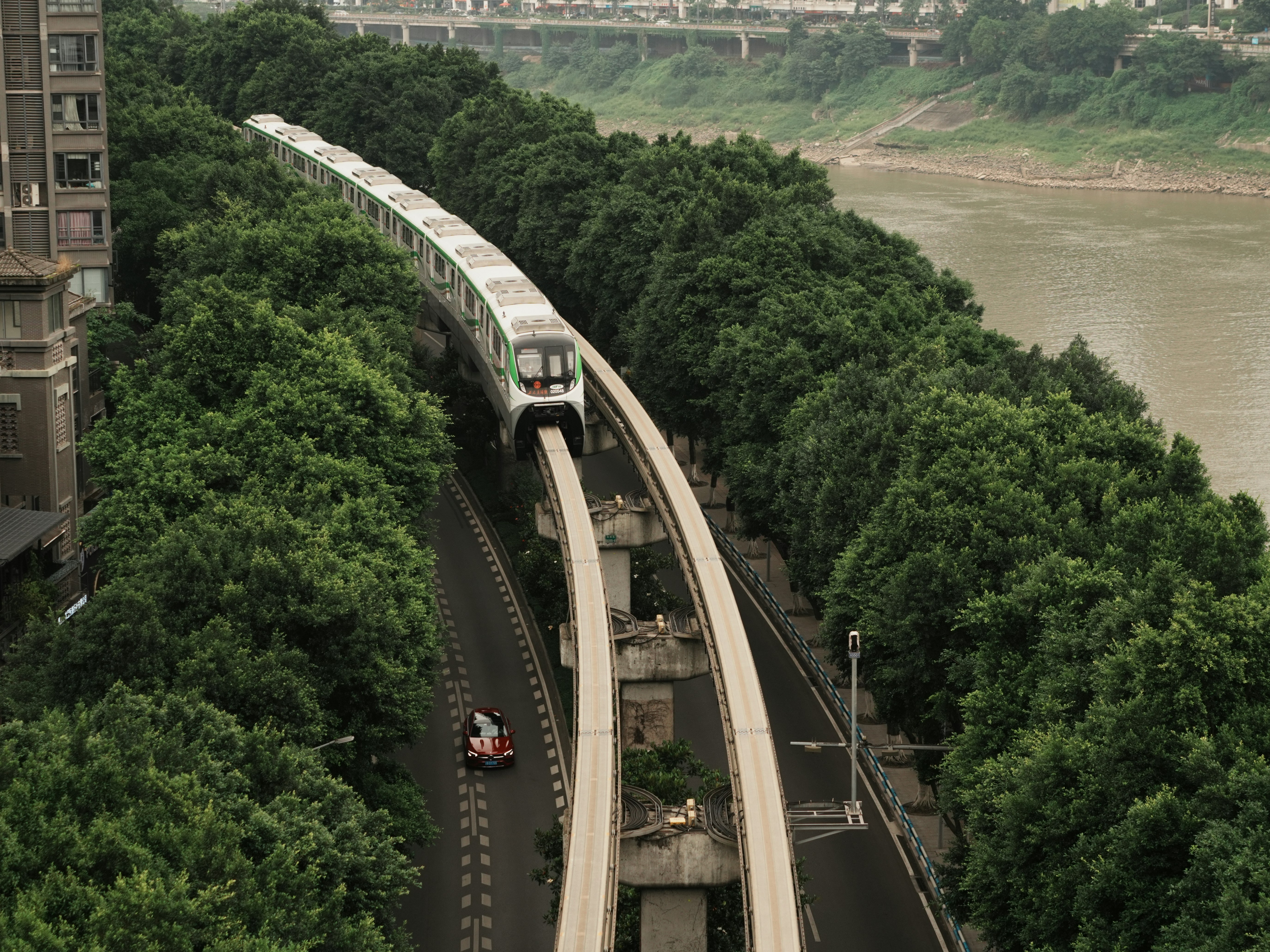Elevated Metro Arc: A Green Corridor Carries a Train Over Urban Forest