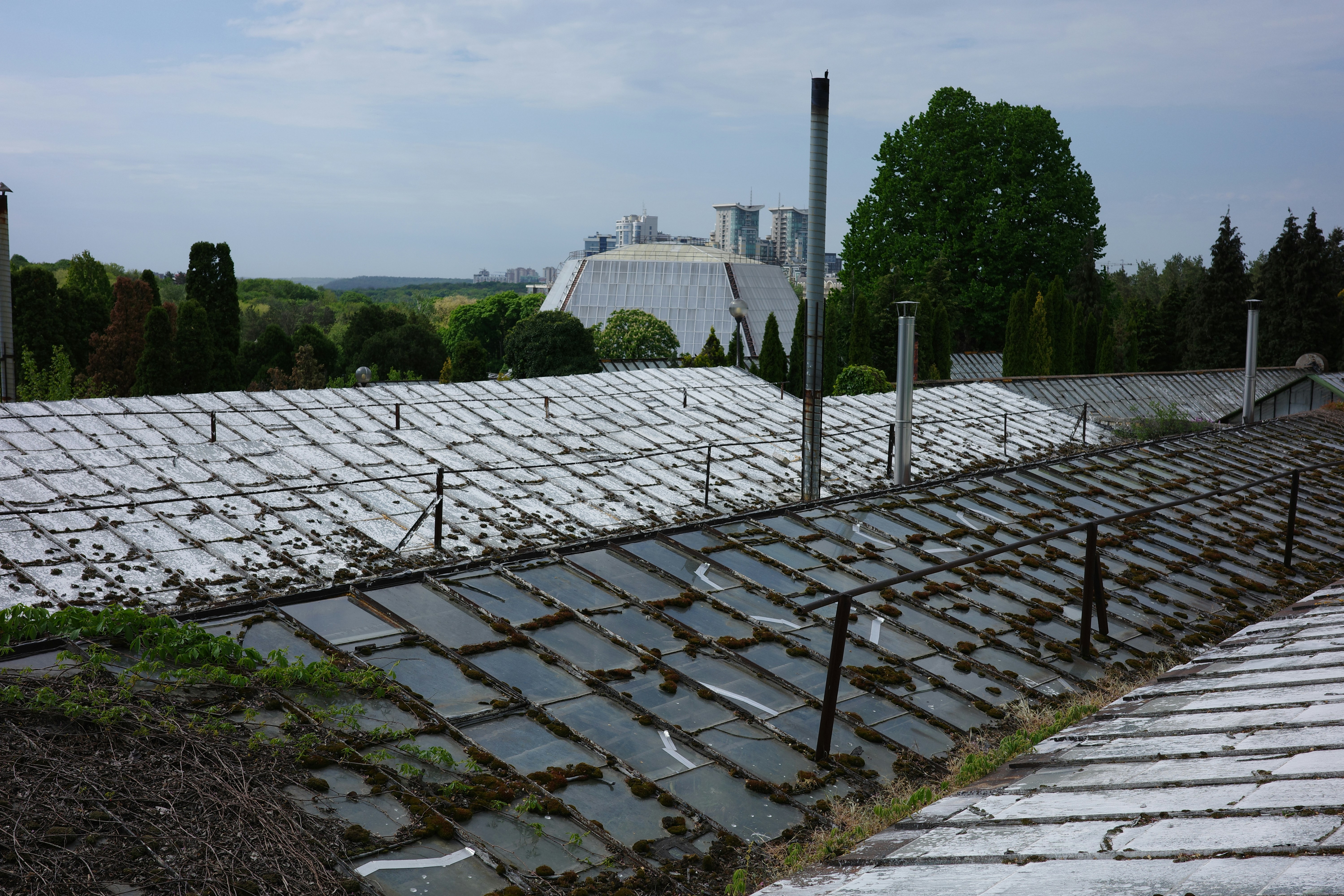 Cracked Roofing Overlook: A Silent Canvas of Tiles and Distant Geometry