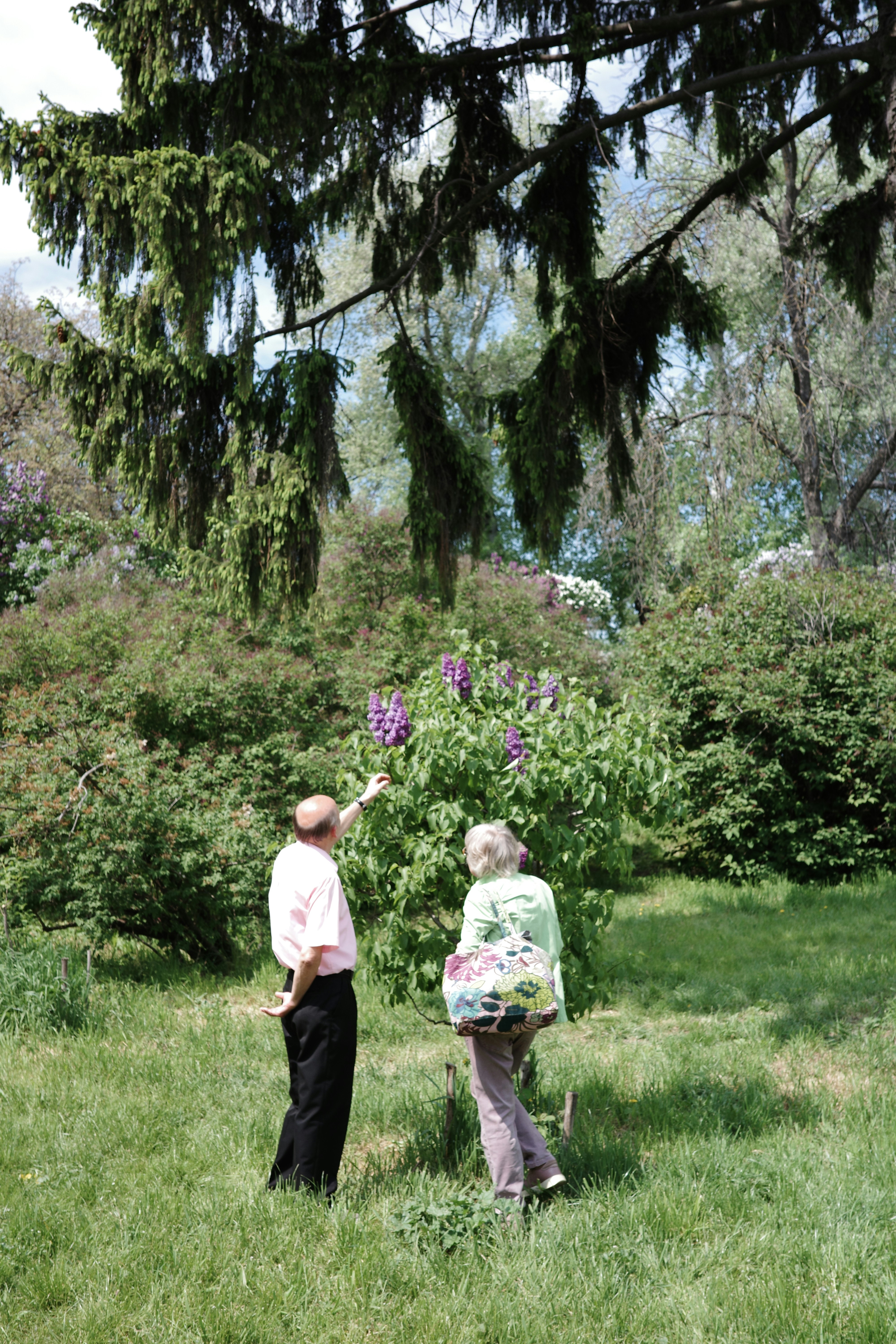 A Moment in the Arbor: Sidelong Conversation Beneath Drooping Branches
