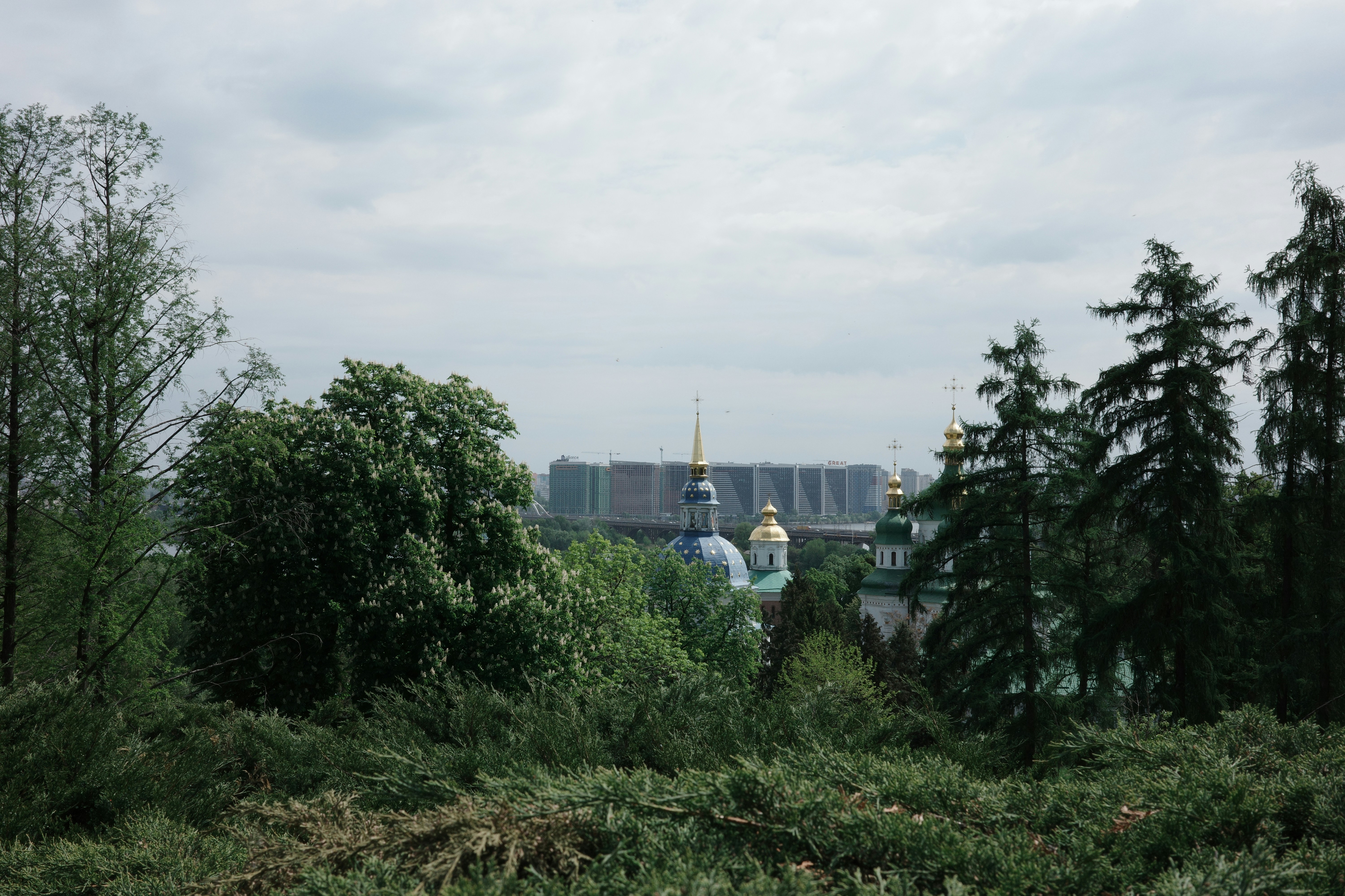 Hidden City Skyline Peeking Through the Trees
