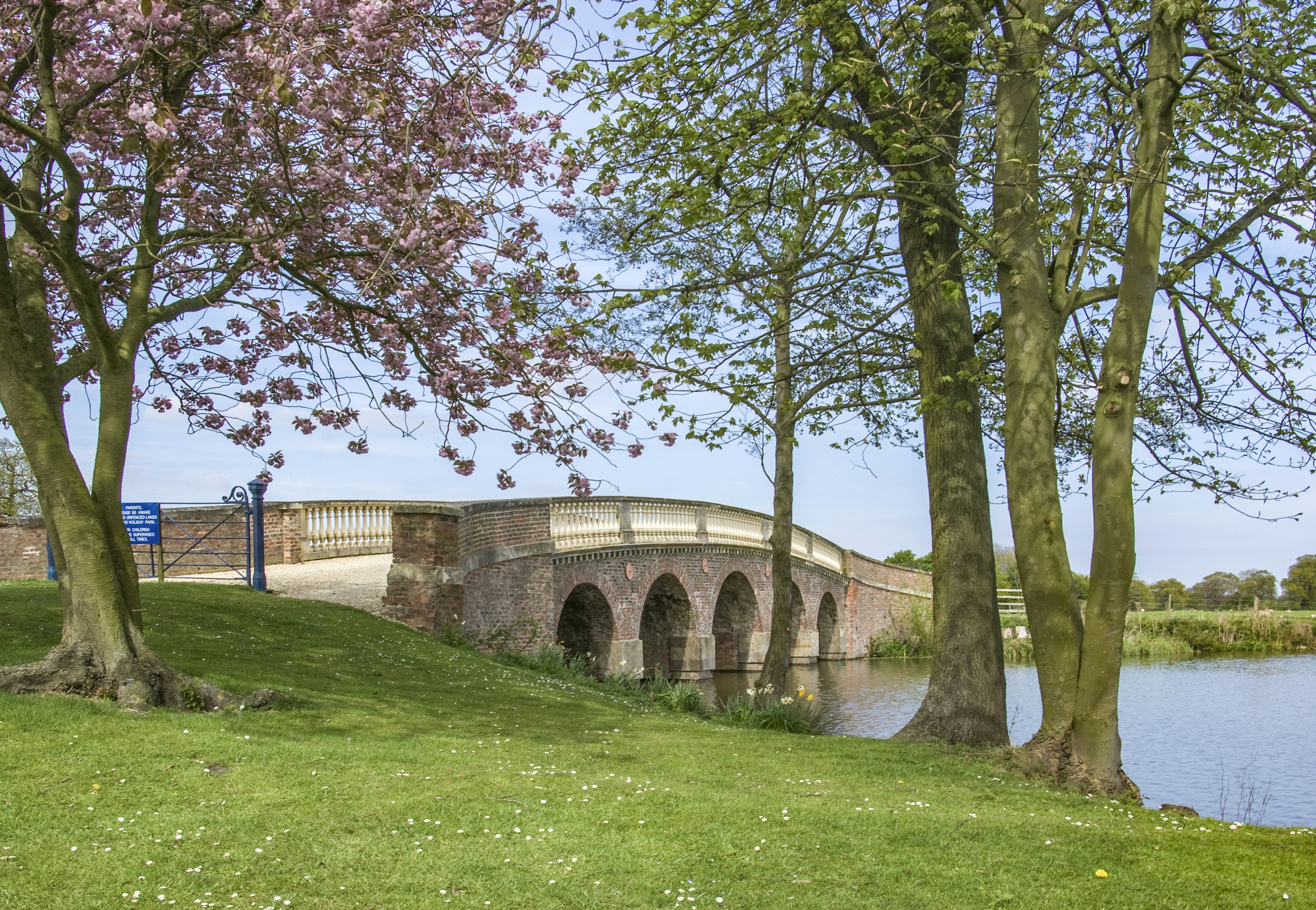 Sunlit Arboreal Bridge: Pink Blossoms and Riverside Arches