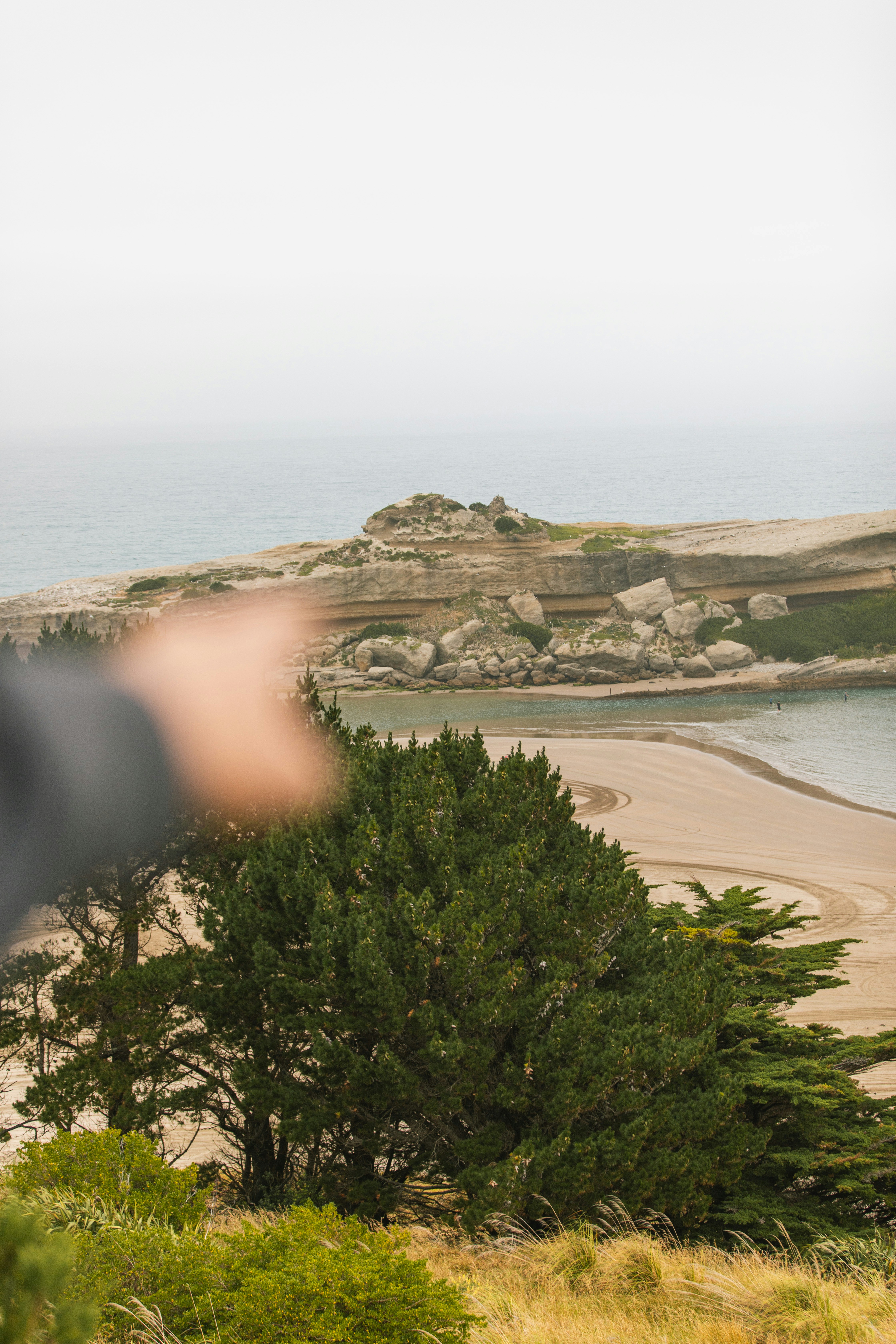 Foreground Blur Meets Coastal Cliffs: A Quiet Beach Gaze