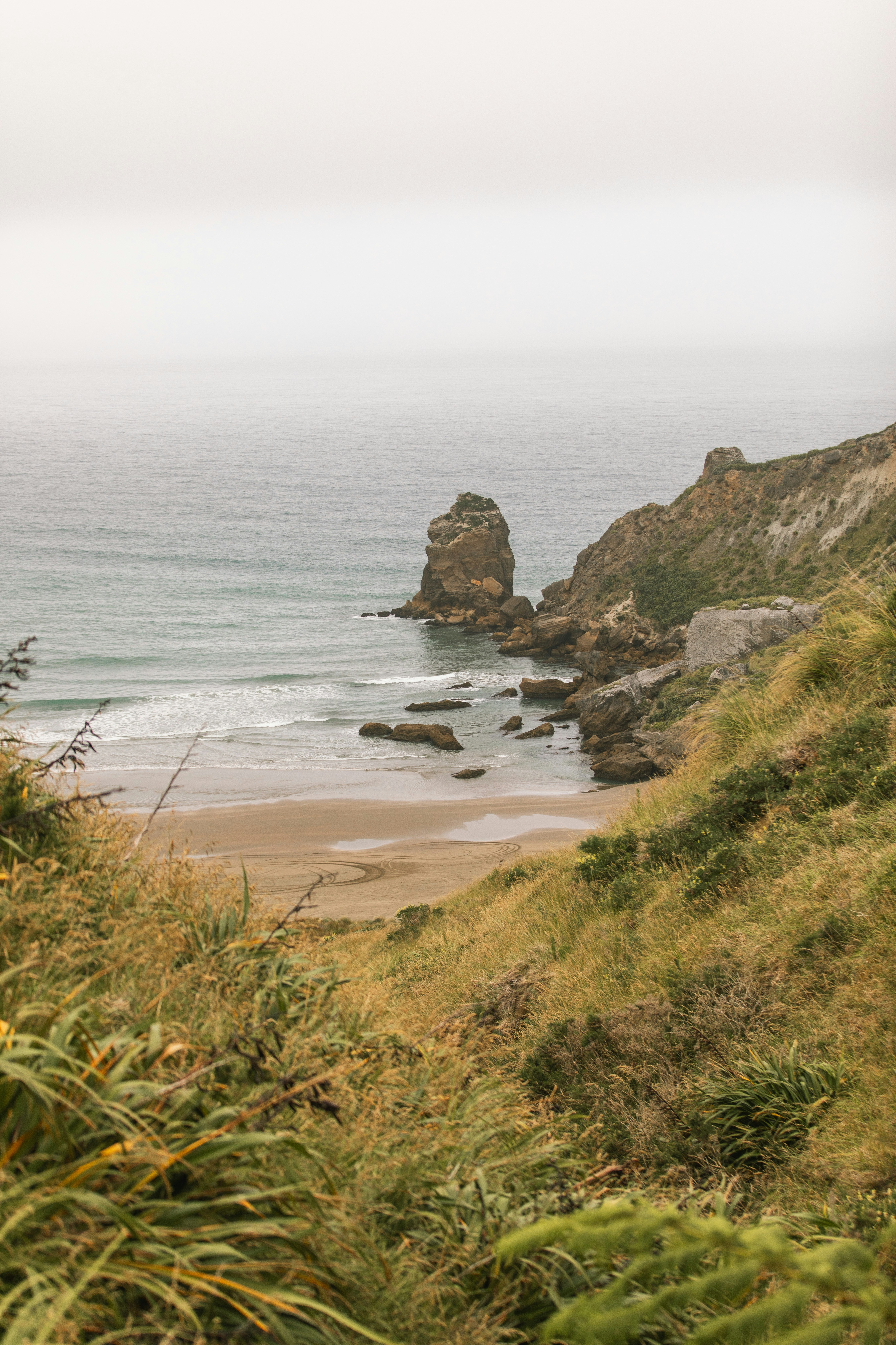 Coastal Promontory Framed by Sea Grass and Cliff