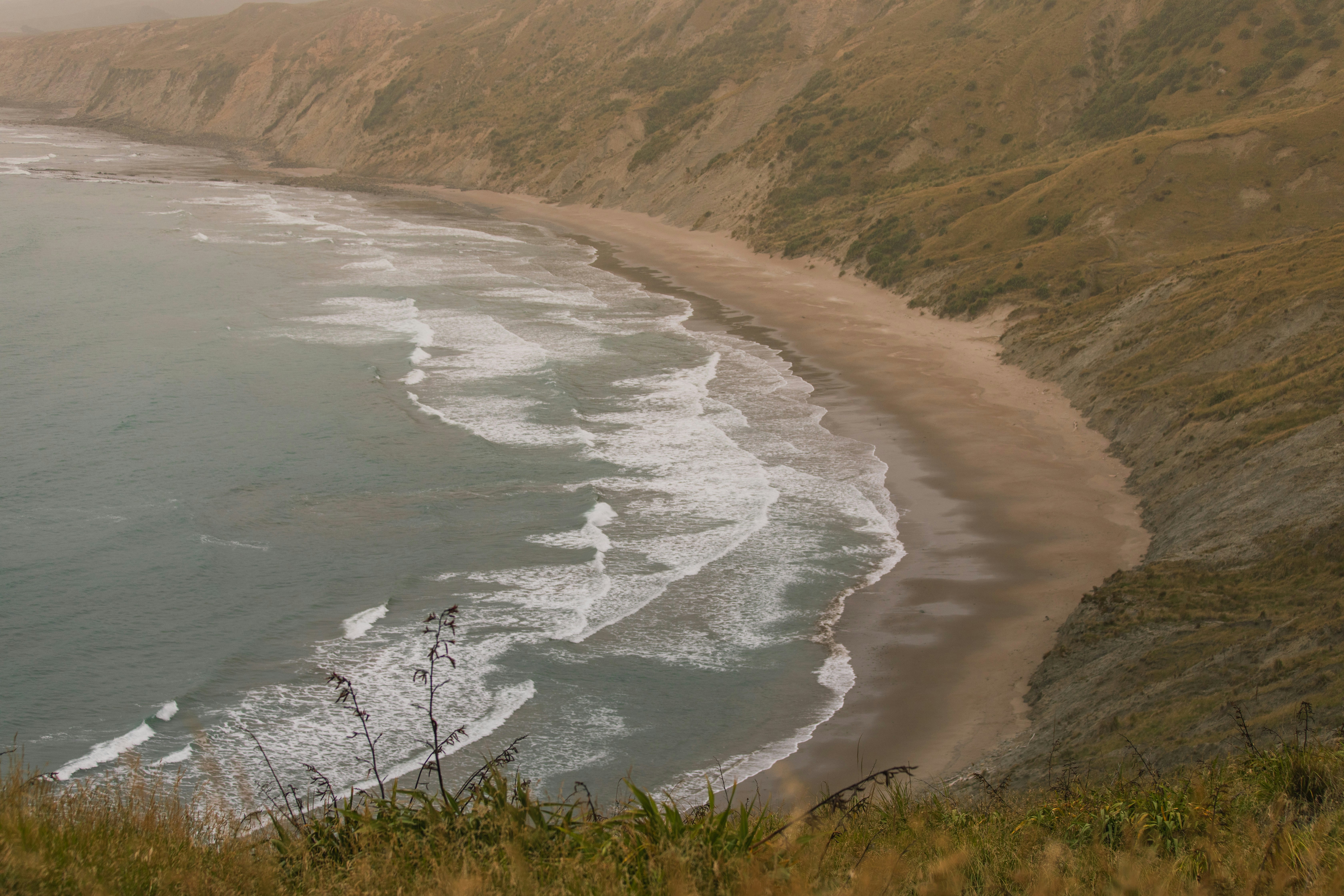 Curved Shoreline carved by fog and tide