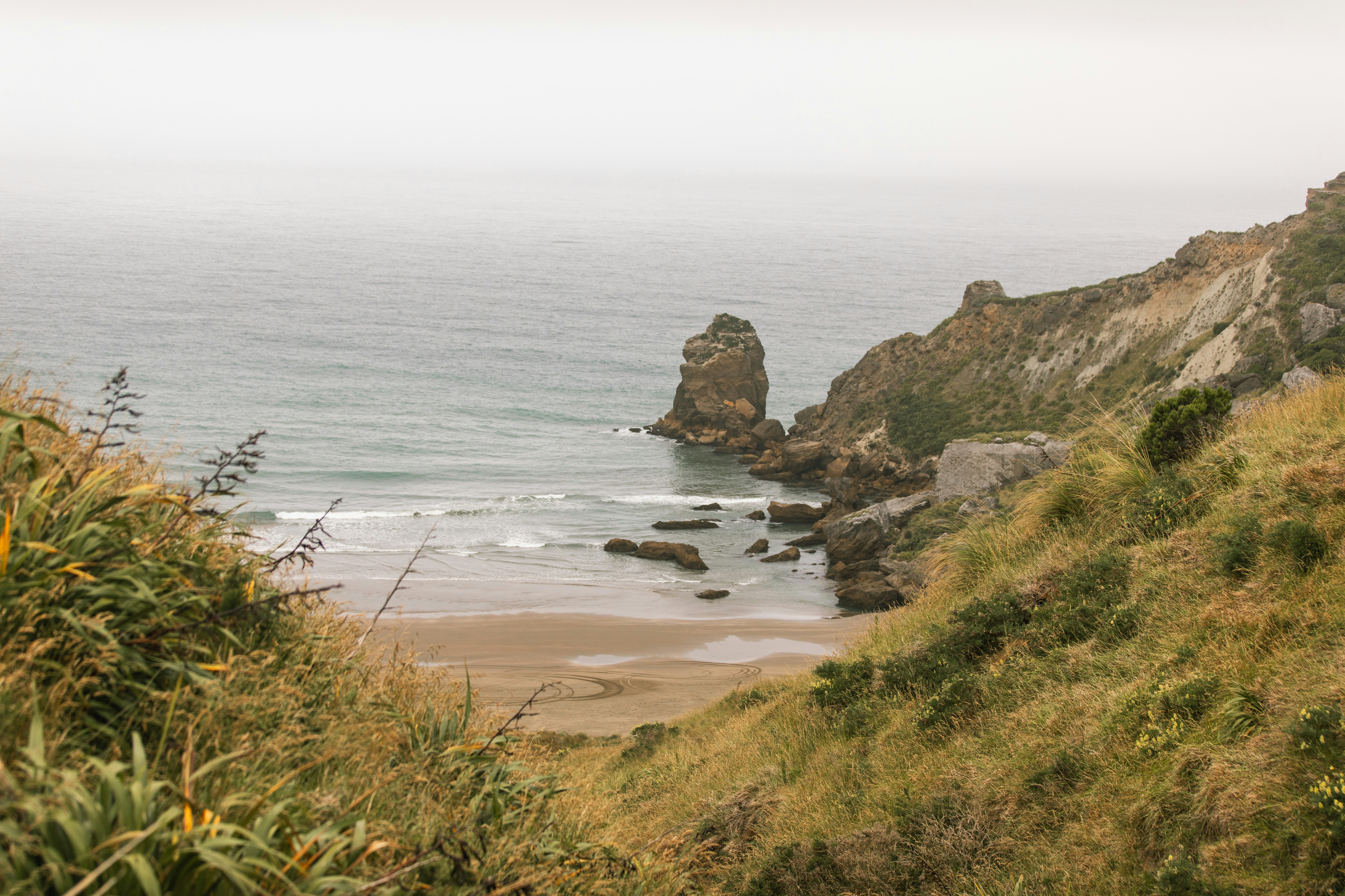 Cliffside Cove: A Quiet Coastal Bend Framed by Thistles and Tides