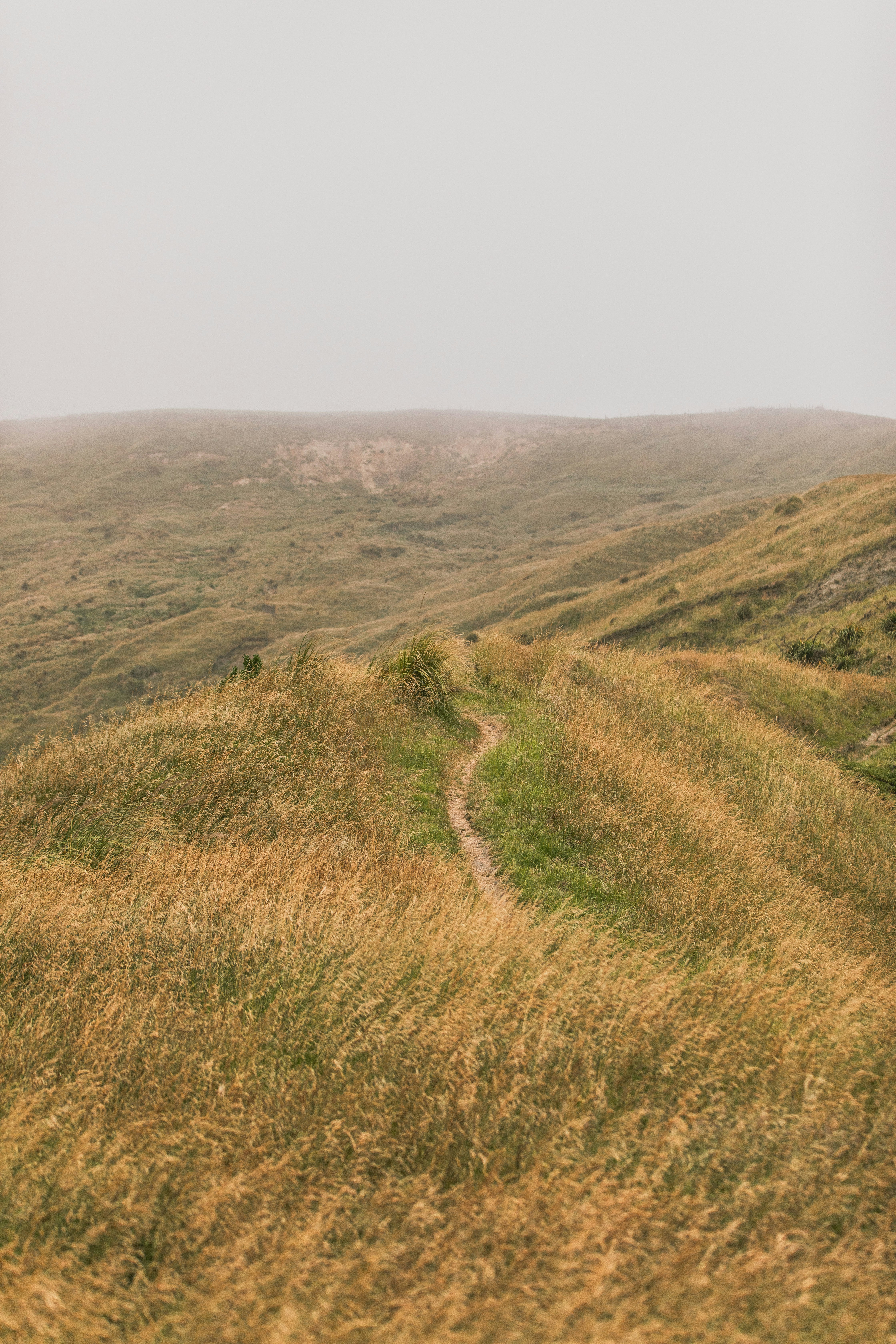 Mist on the Moor: A Narrow Footpath Journey Through Golden Grass