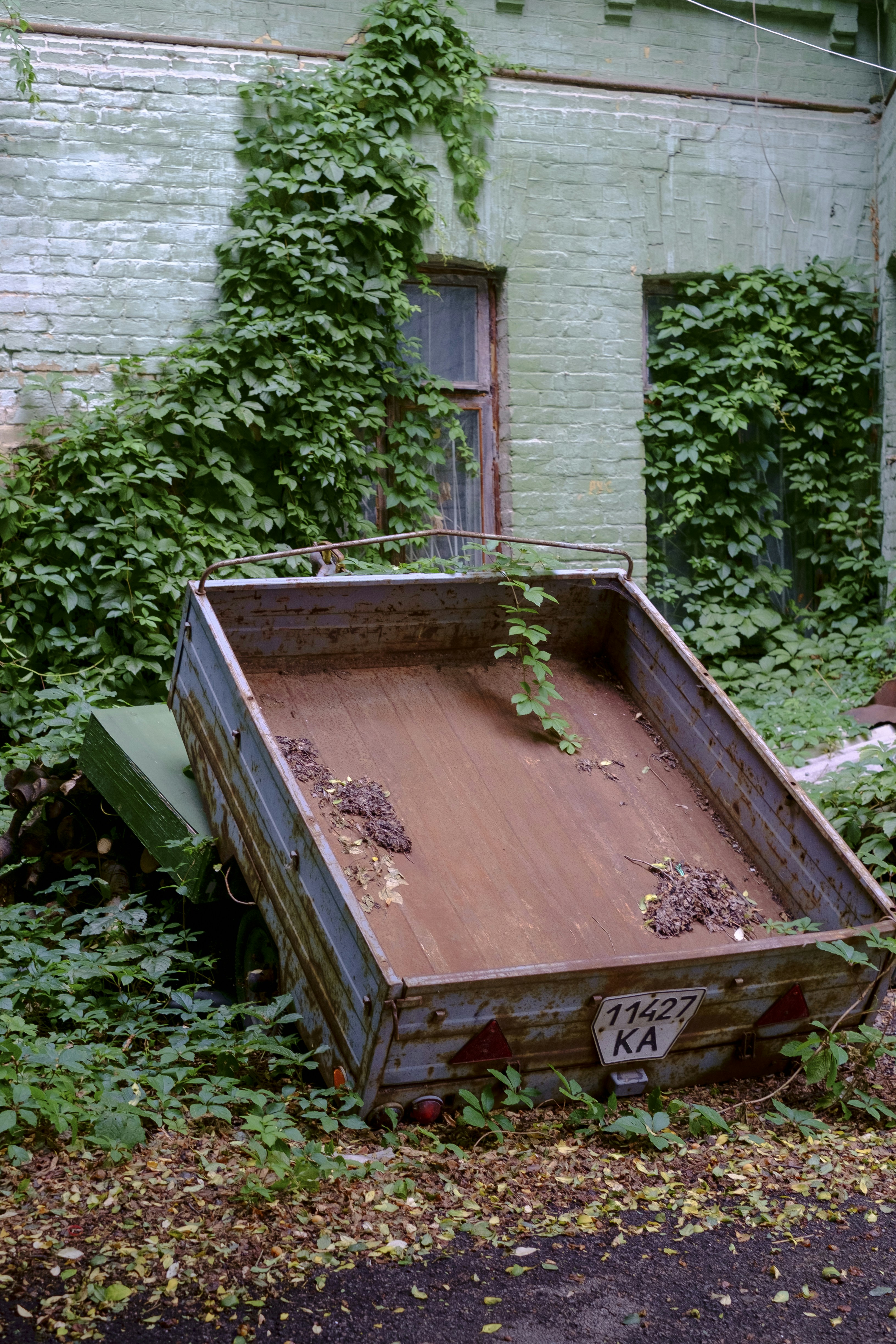 ivy-clad ruin and rusted trailer in a courtyard
