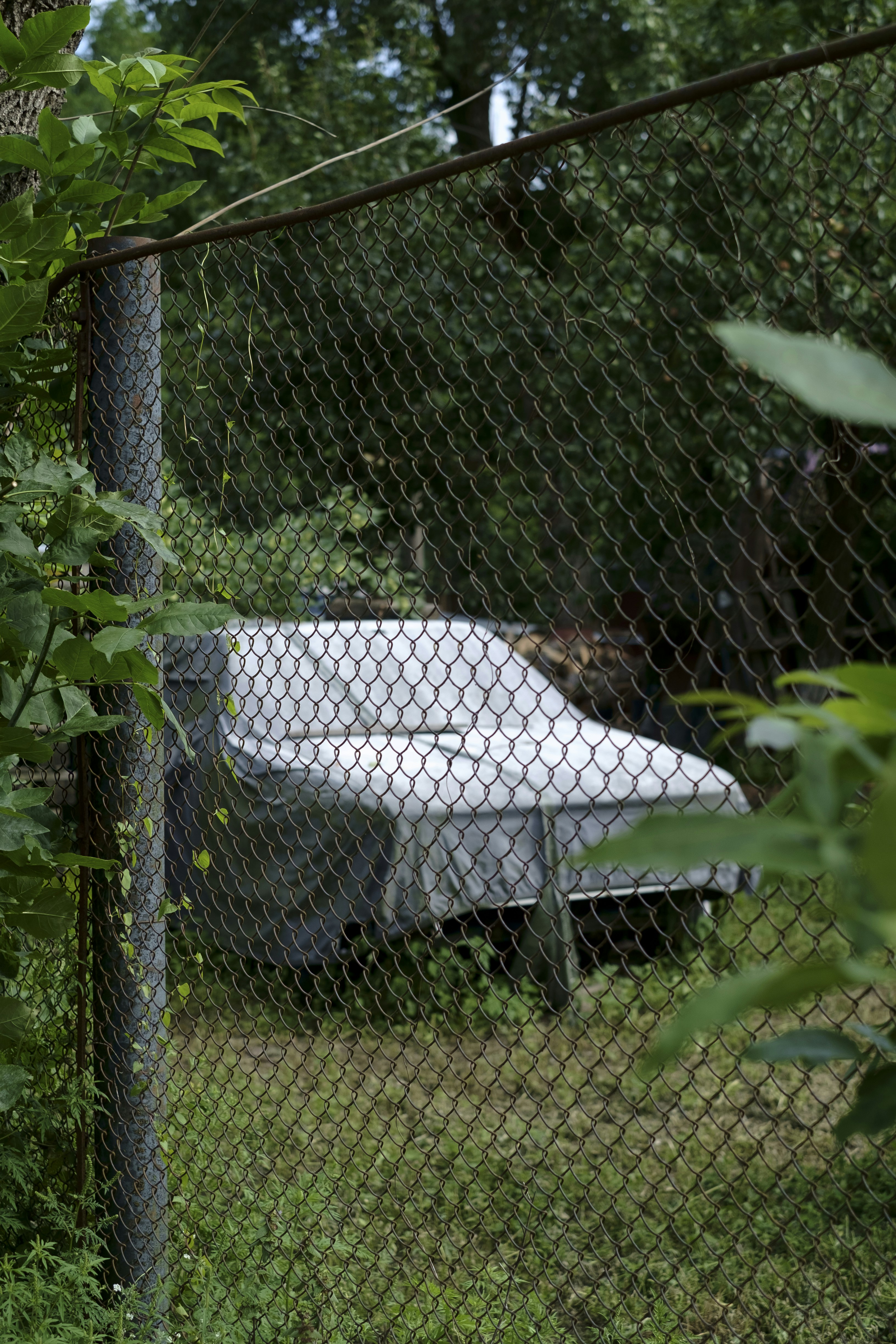 Hidden Boat Behind the Chain-Link: Quiet Backyard Morning