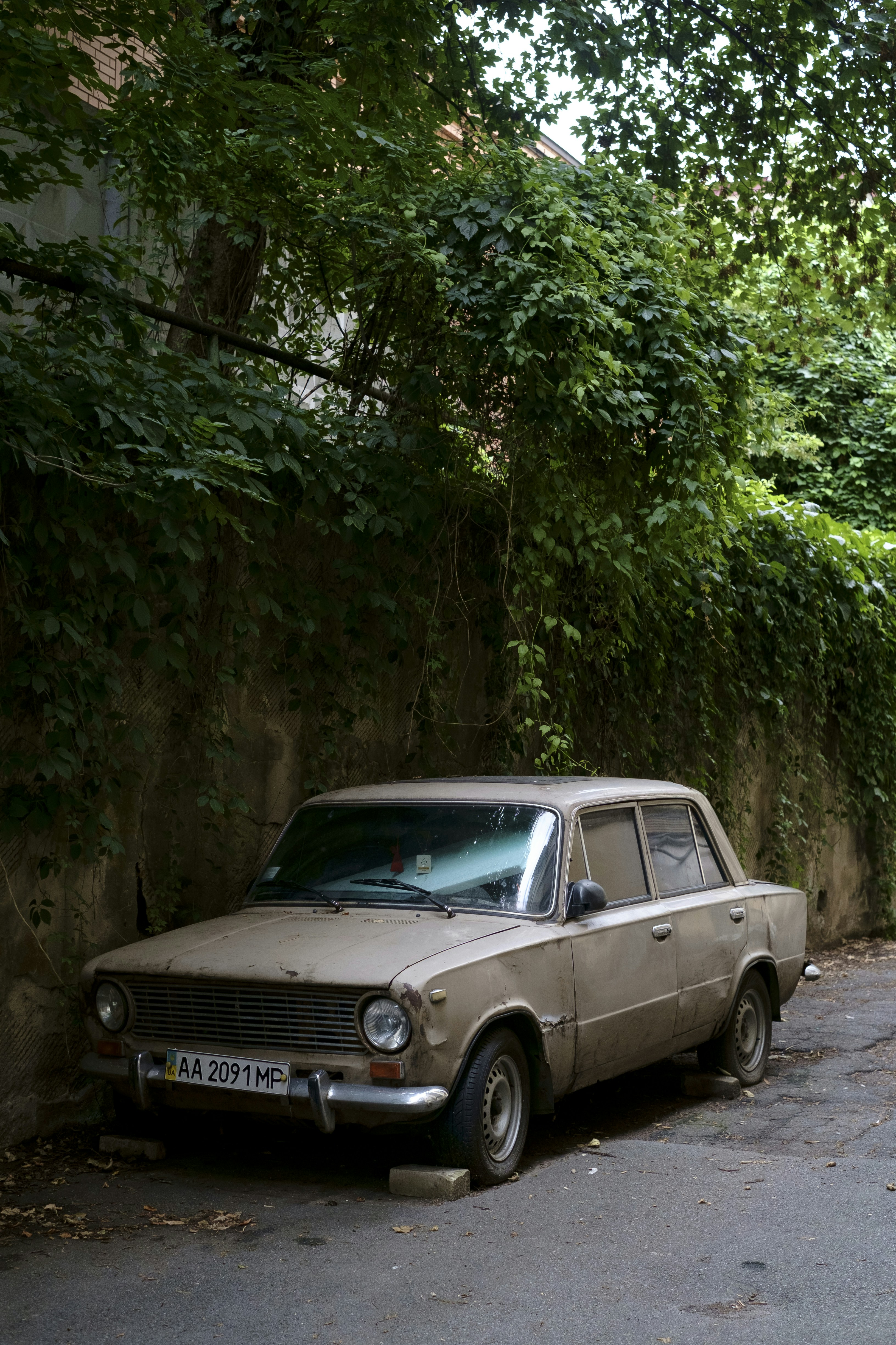 A dusty vintage sedan sits along a narrow road beside a moss-covered wall, with dense ivy and trees overhead. A quiet, urban-green scene highlighting weathered chrome and aged paint.