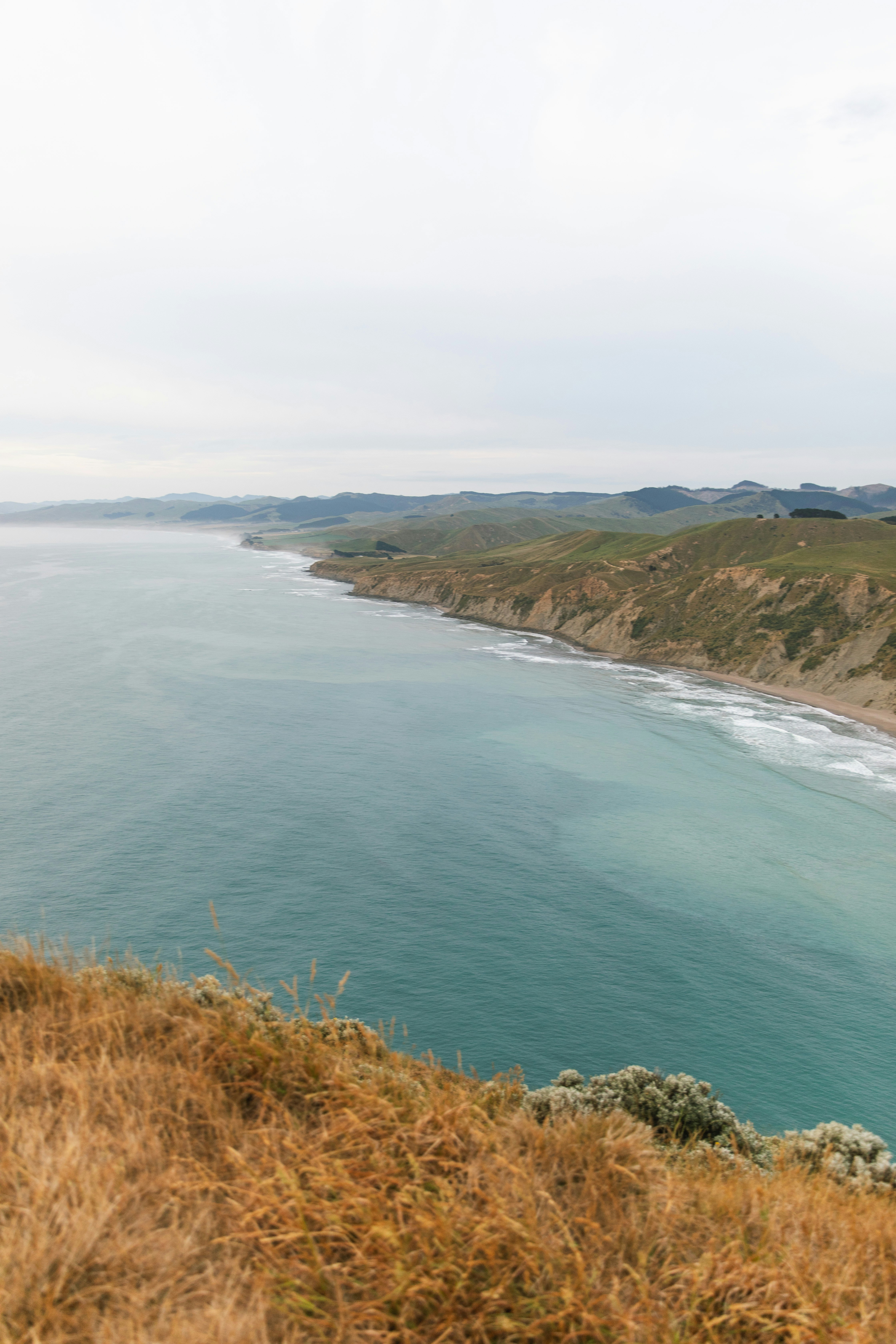 Cliffside Coastline: Golden grasses meeting turquoise surf