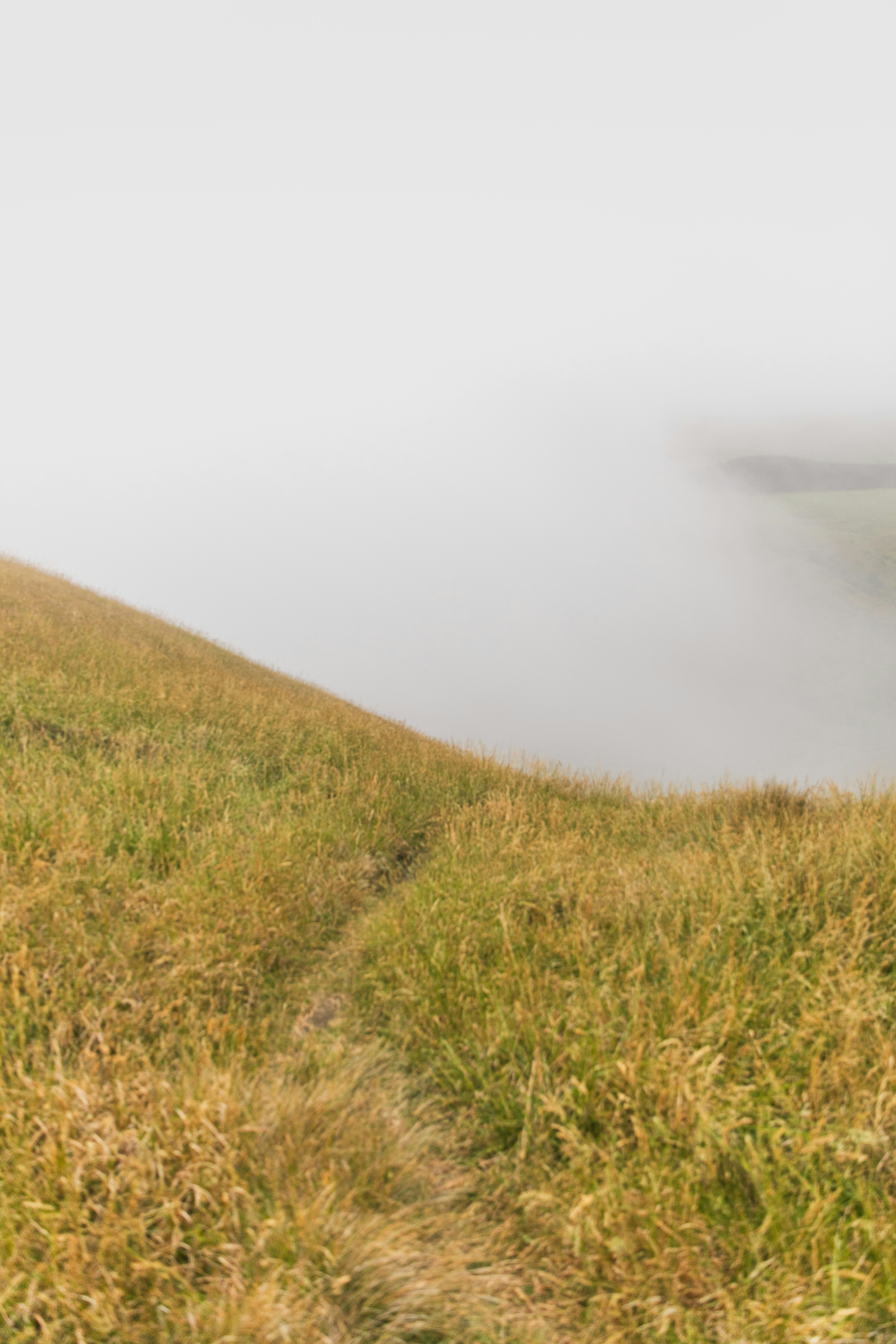 Mist over the Golden Ridge