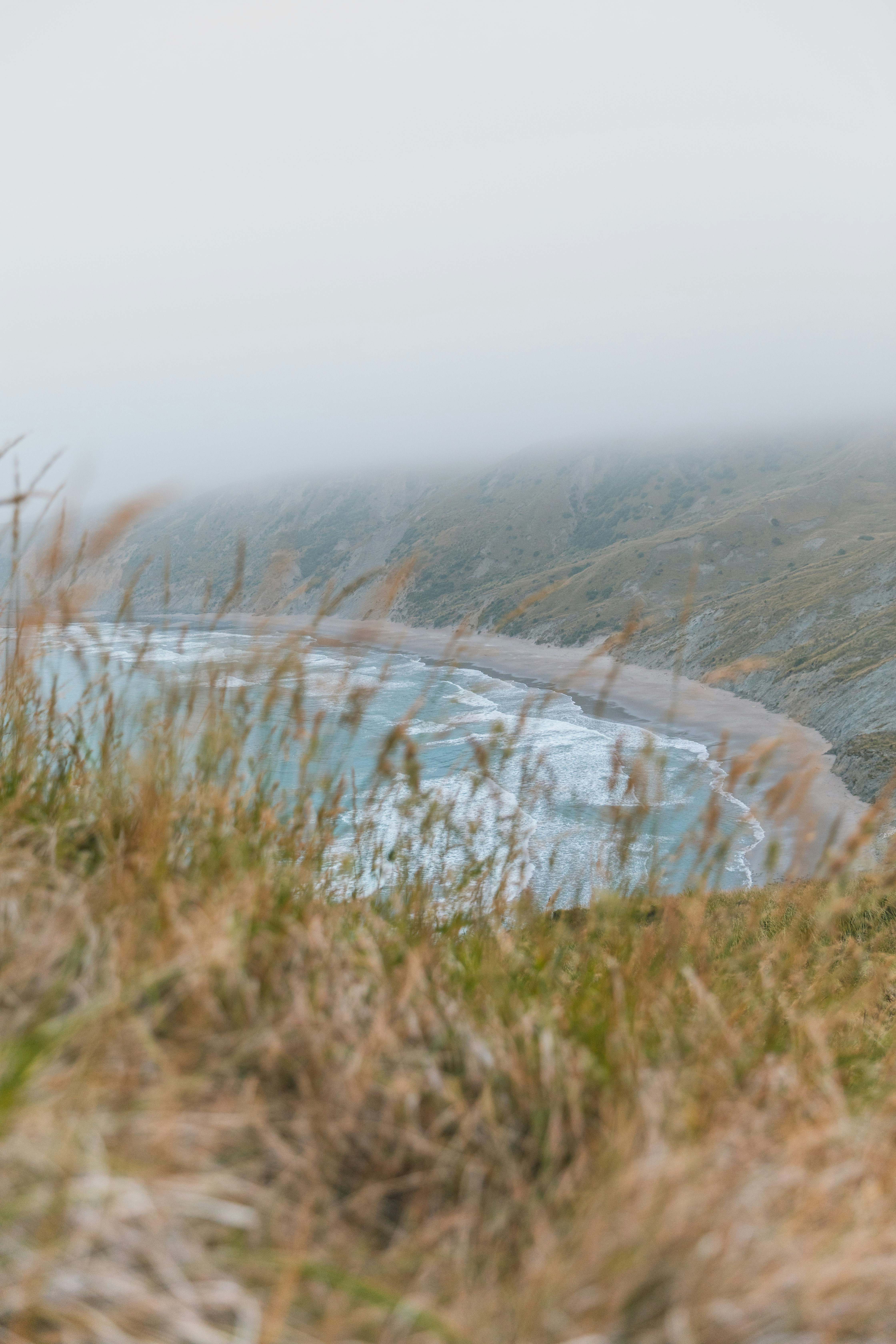 Coastal Cliff Grassland Overlook Shrouded in Mist