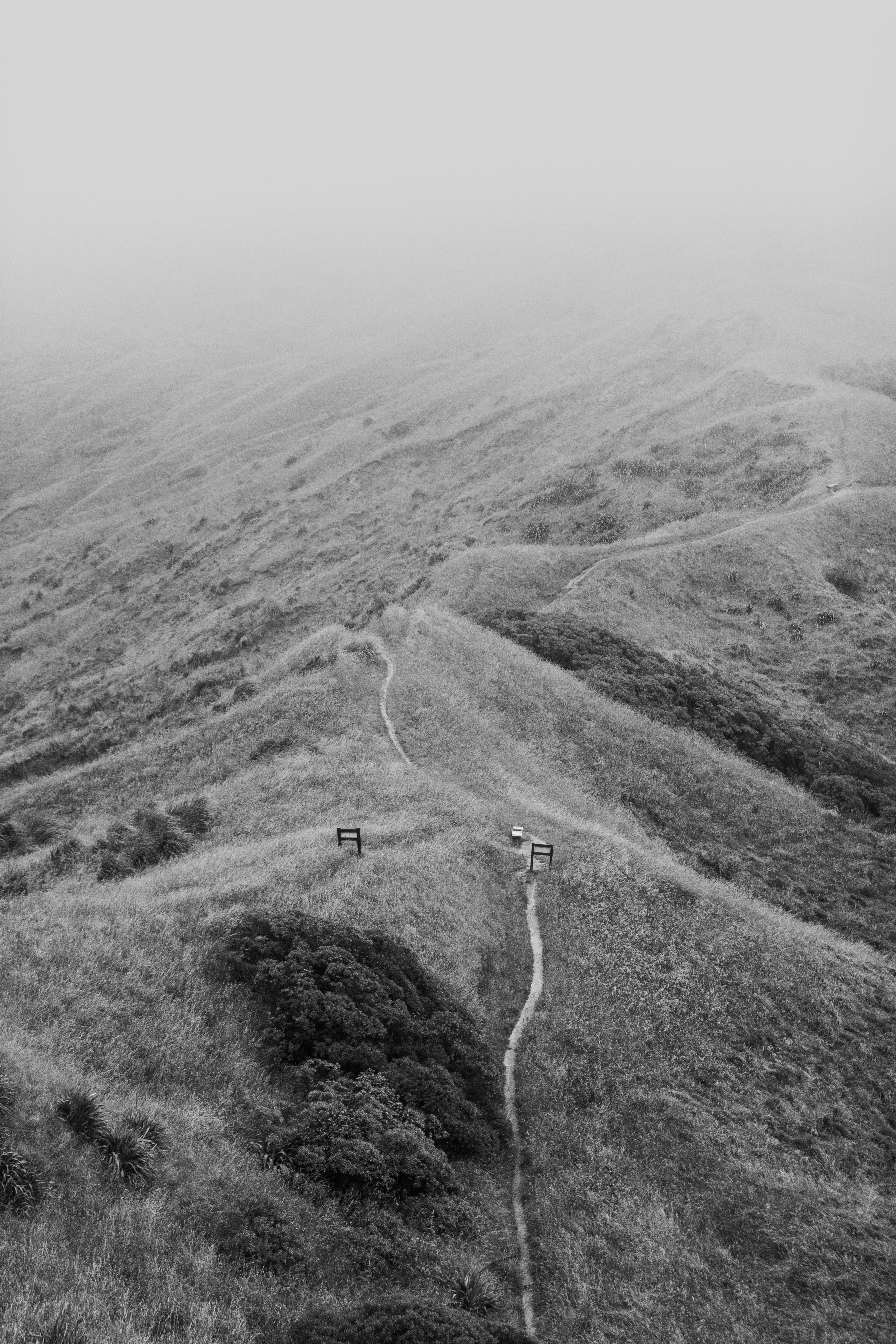 Mist over the Ridge: A Quiet Descent Along the Winding Path