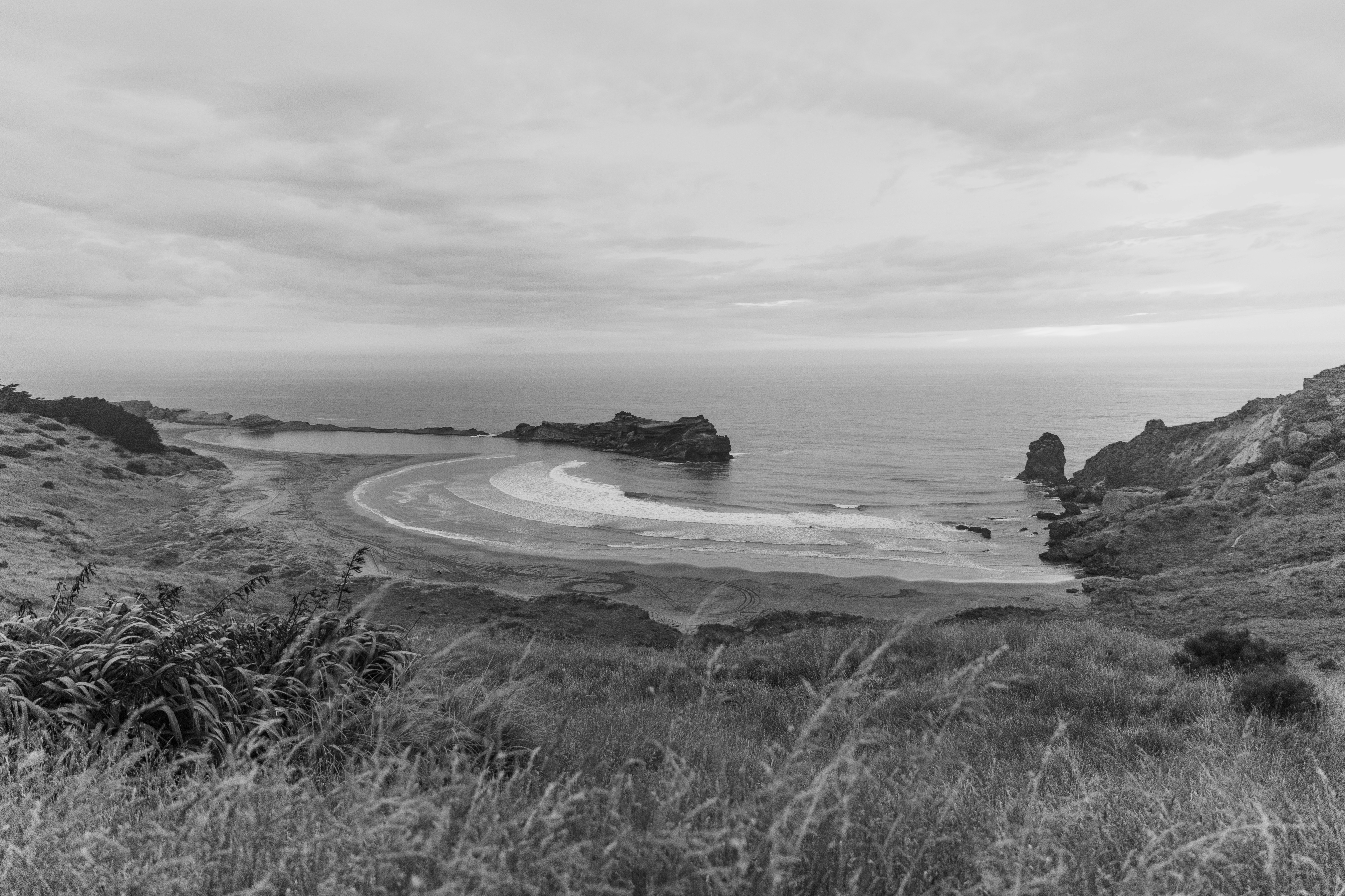 Coastal Plain in Quiet Gray