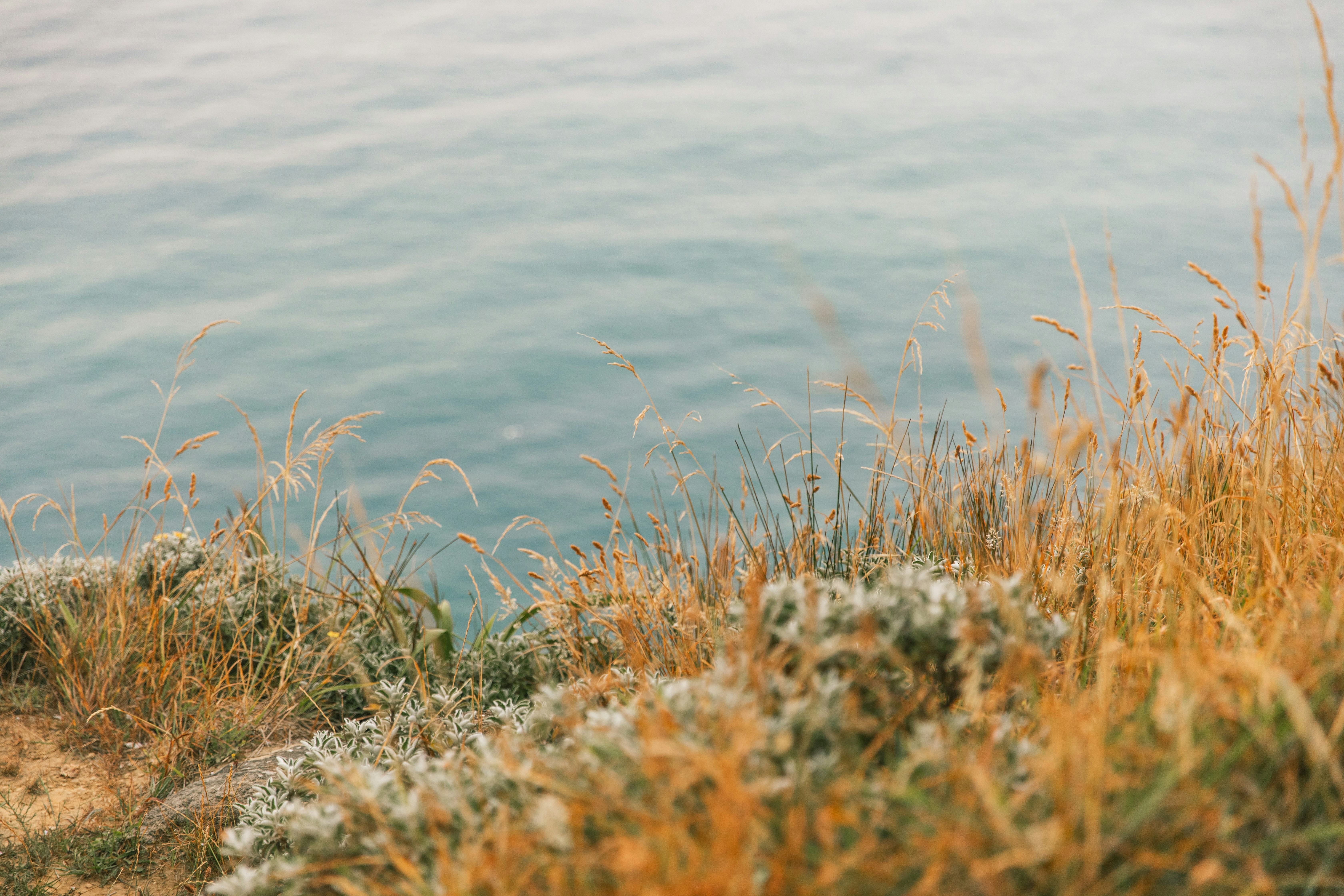 Golden Ridge by the Sea