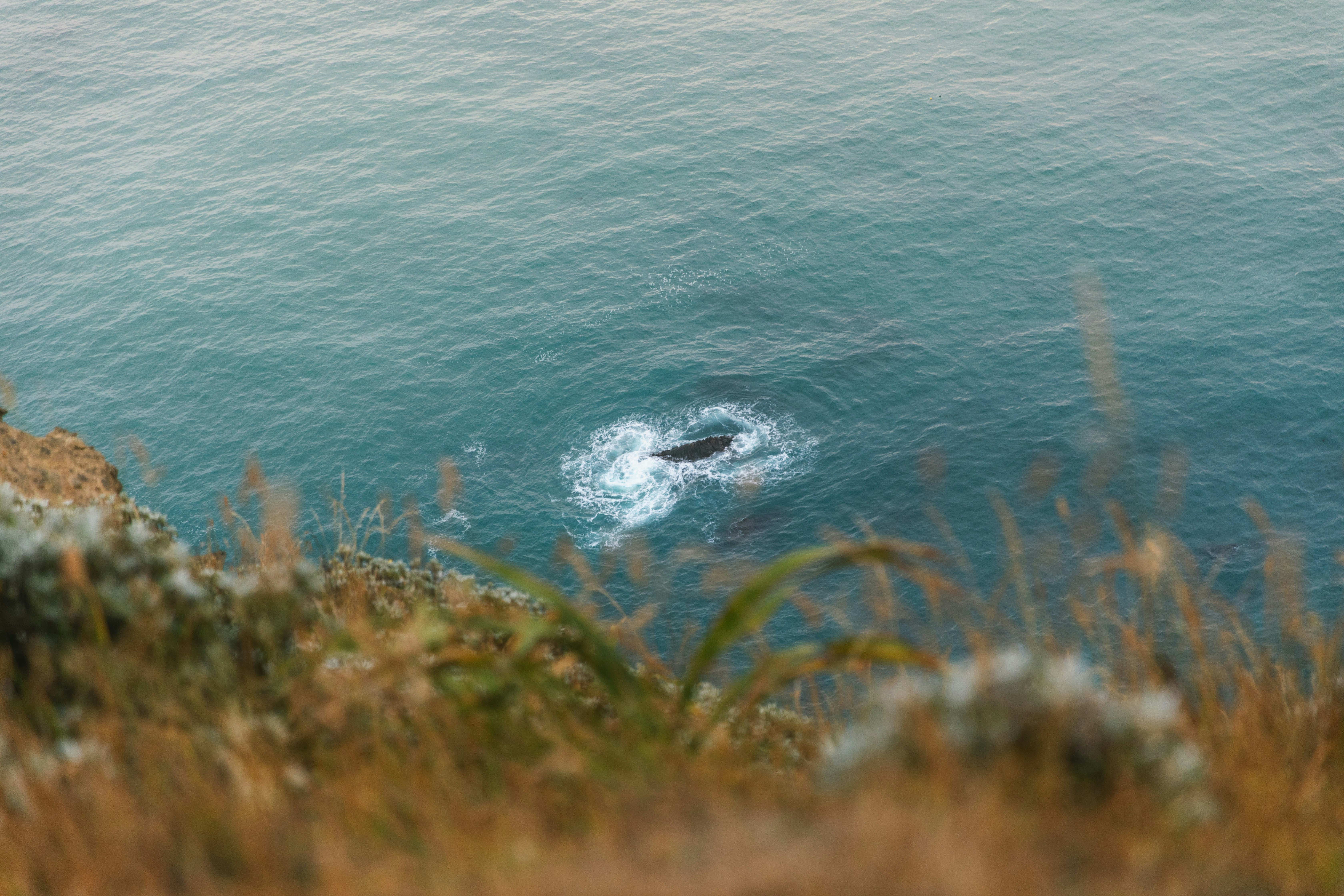 Azure Wold: A Clifftop View Piercing the Blue