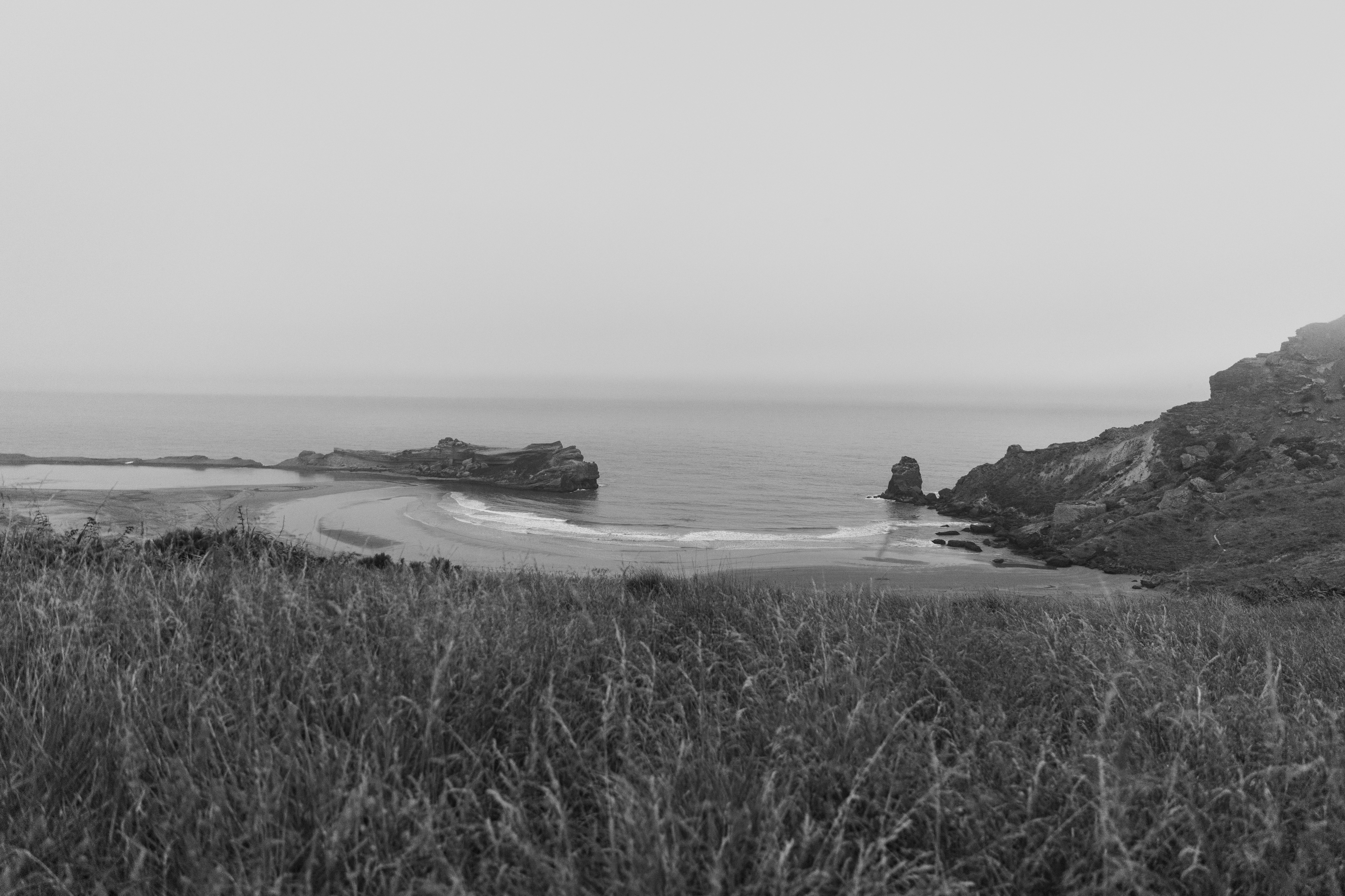 Coastal Sands: Quiet Grasses Meet Distant Tides