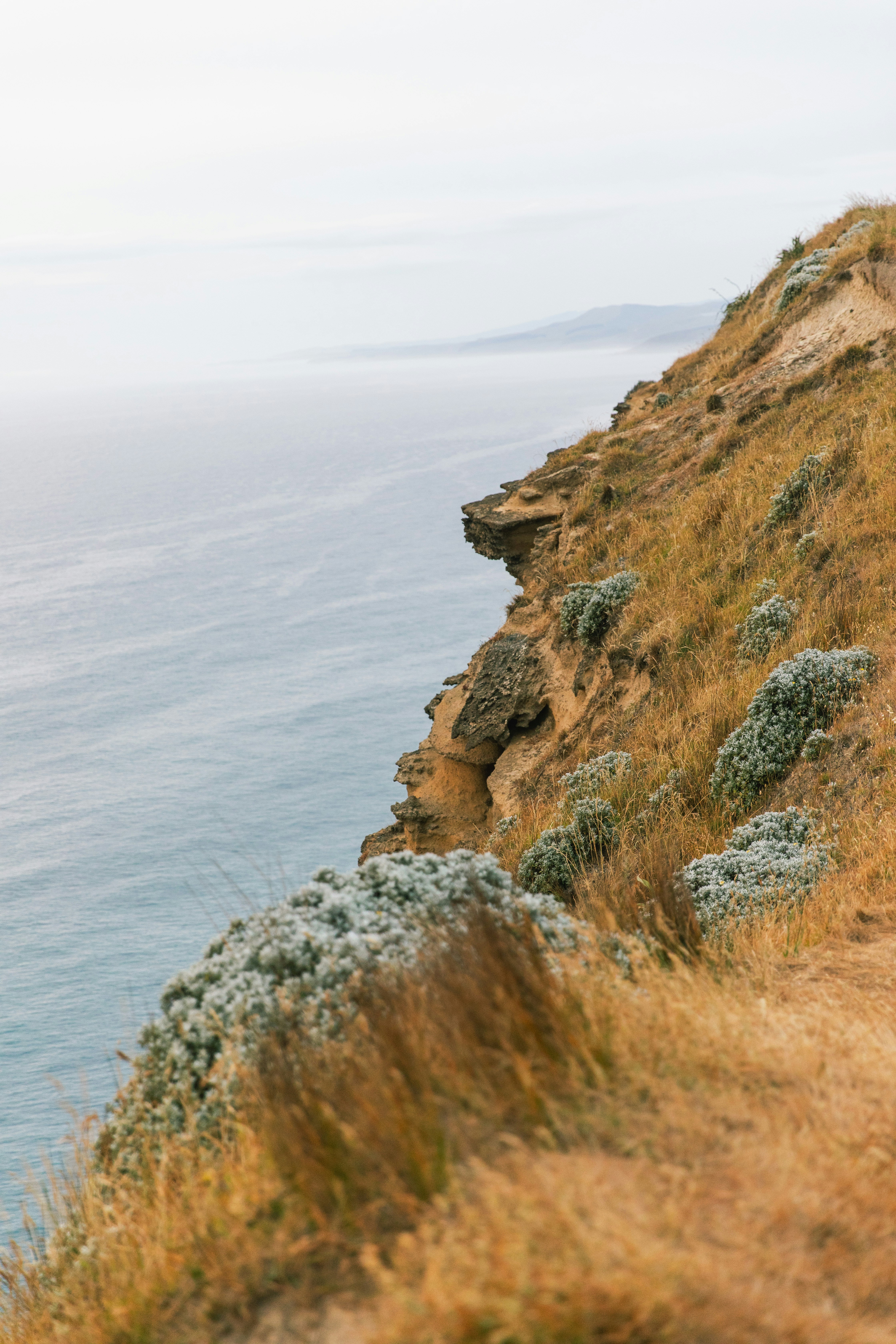 Edge of Green and Blue: Cliffside Path Over the Calm Sea